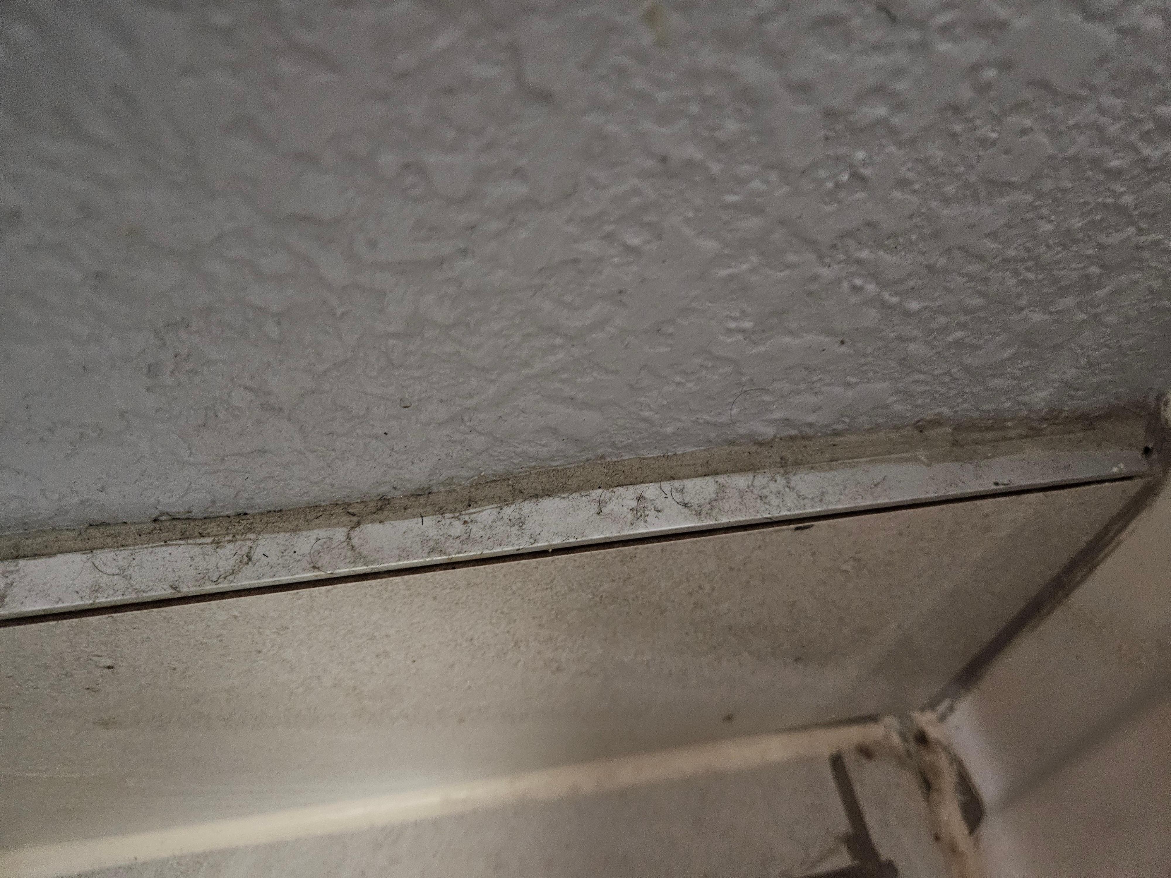 Dirt and hair built up on the bathroom baseboards