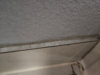 Dirt and hair built up on the bathroom baseboards