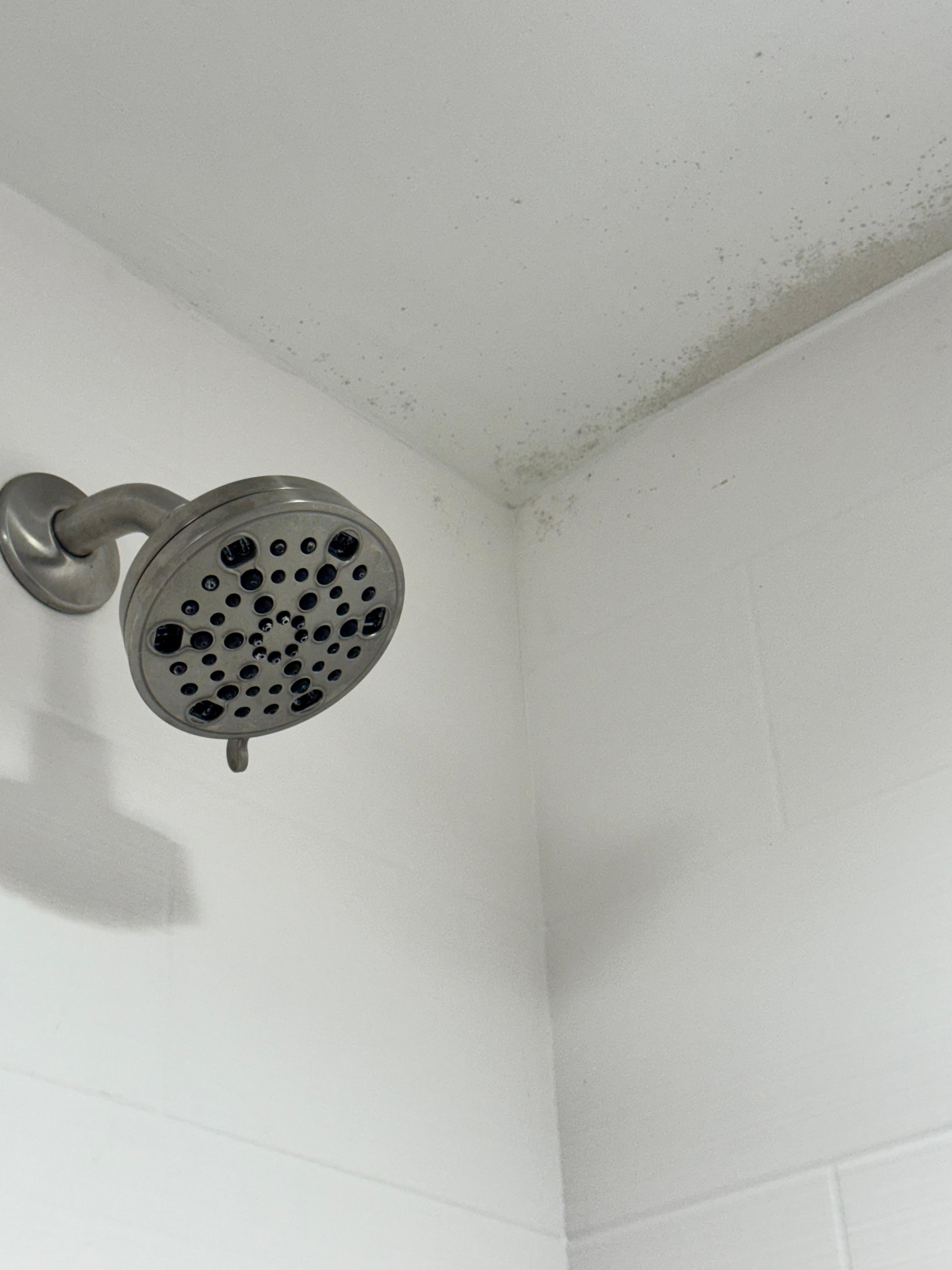 Mold in bathroom 