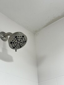 Mold in bathroom