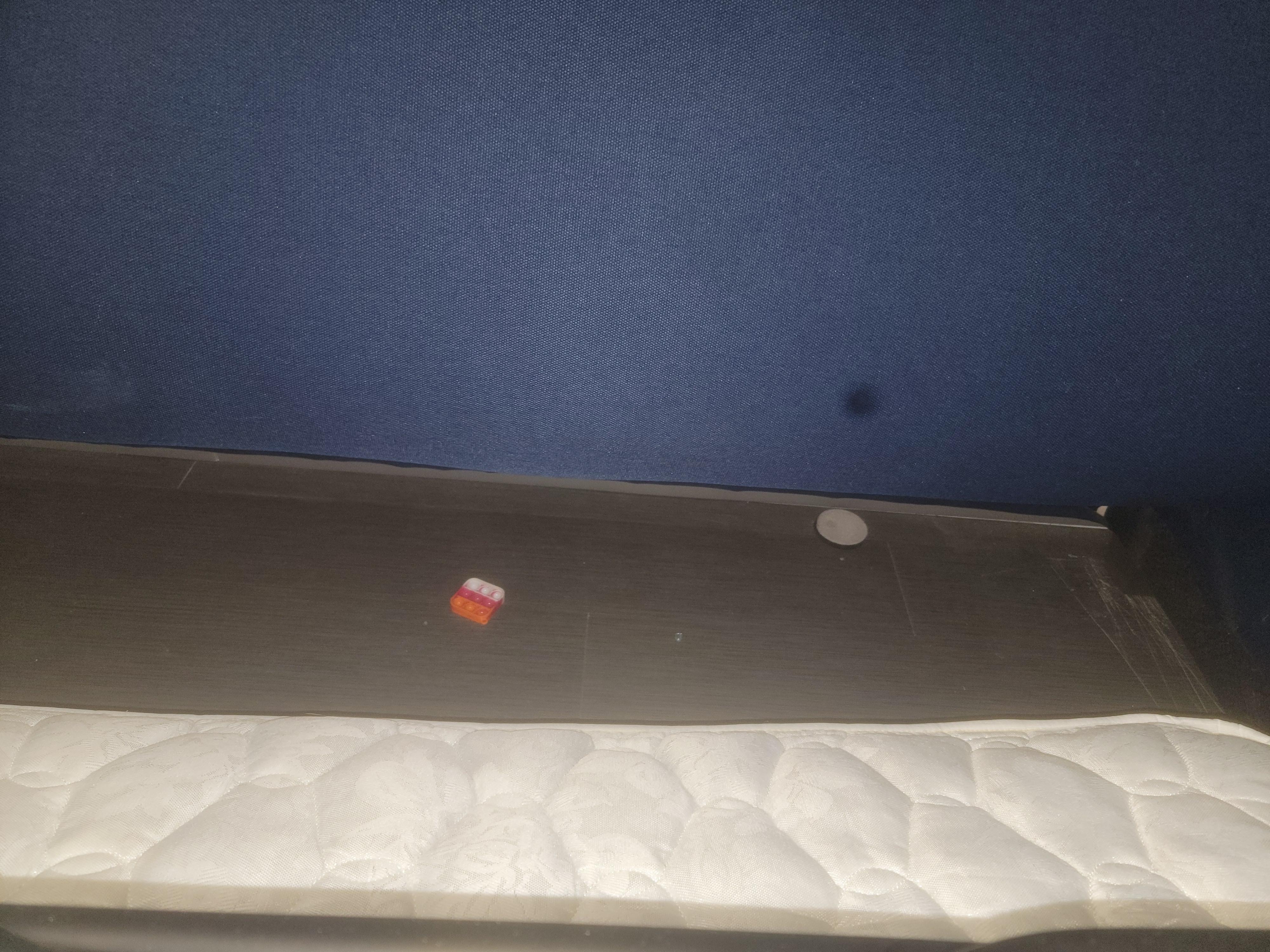 Garbage/trash under the pull out bed.
There were bugs on the pillows. The staff said they were getting alot of complaints about the bugs.
