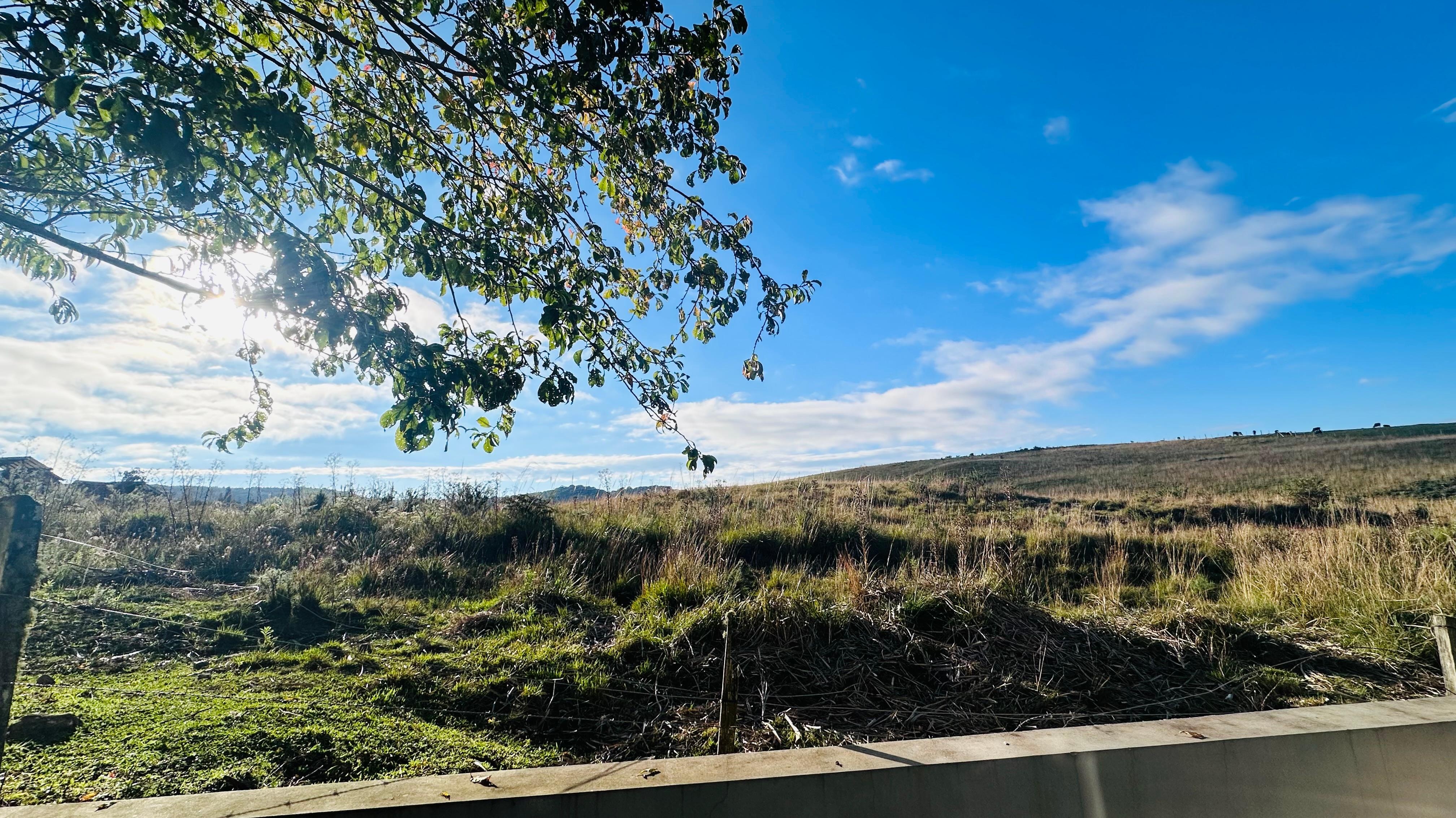 Natureza na janela do quarto ❤️