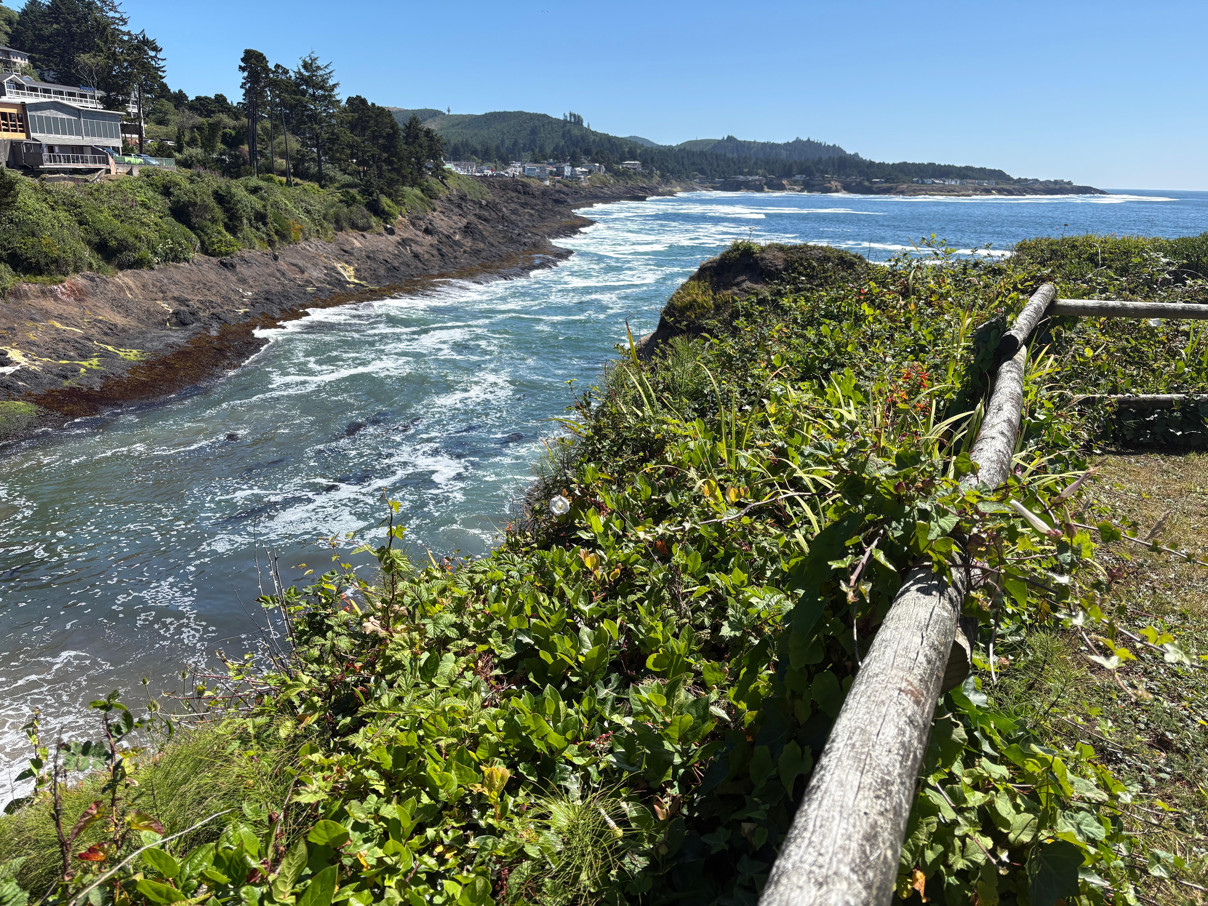 Right on the cove!
