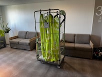 Les chariots traînent dans les couloirs , les canapés sont d âge