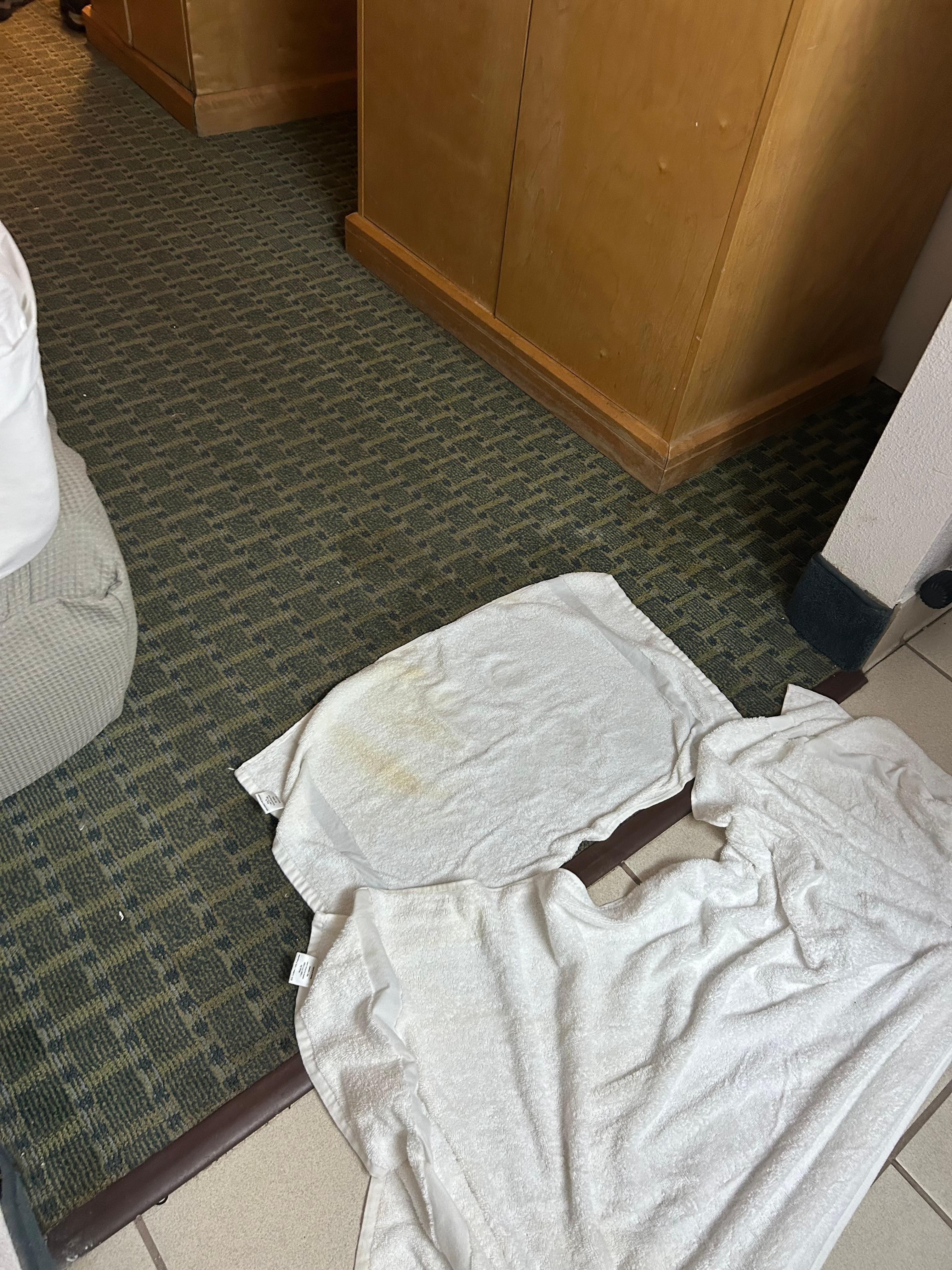 Floor literally wet when we checked in - we didn’t check in until 7:30 pm too but carpet was soaked