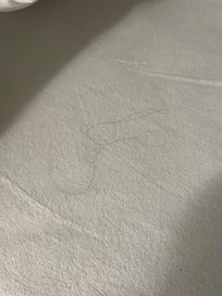 Female hair (not mine) on mattress protector