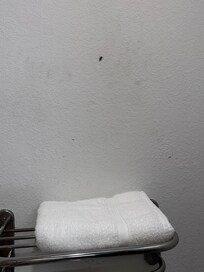 Roach crawling near towels.