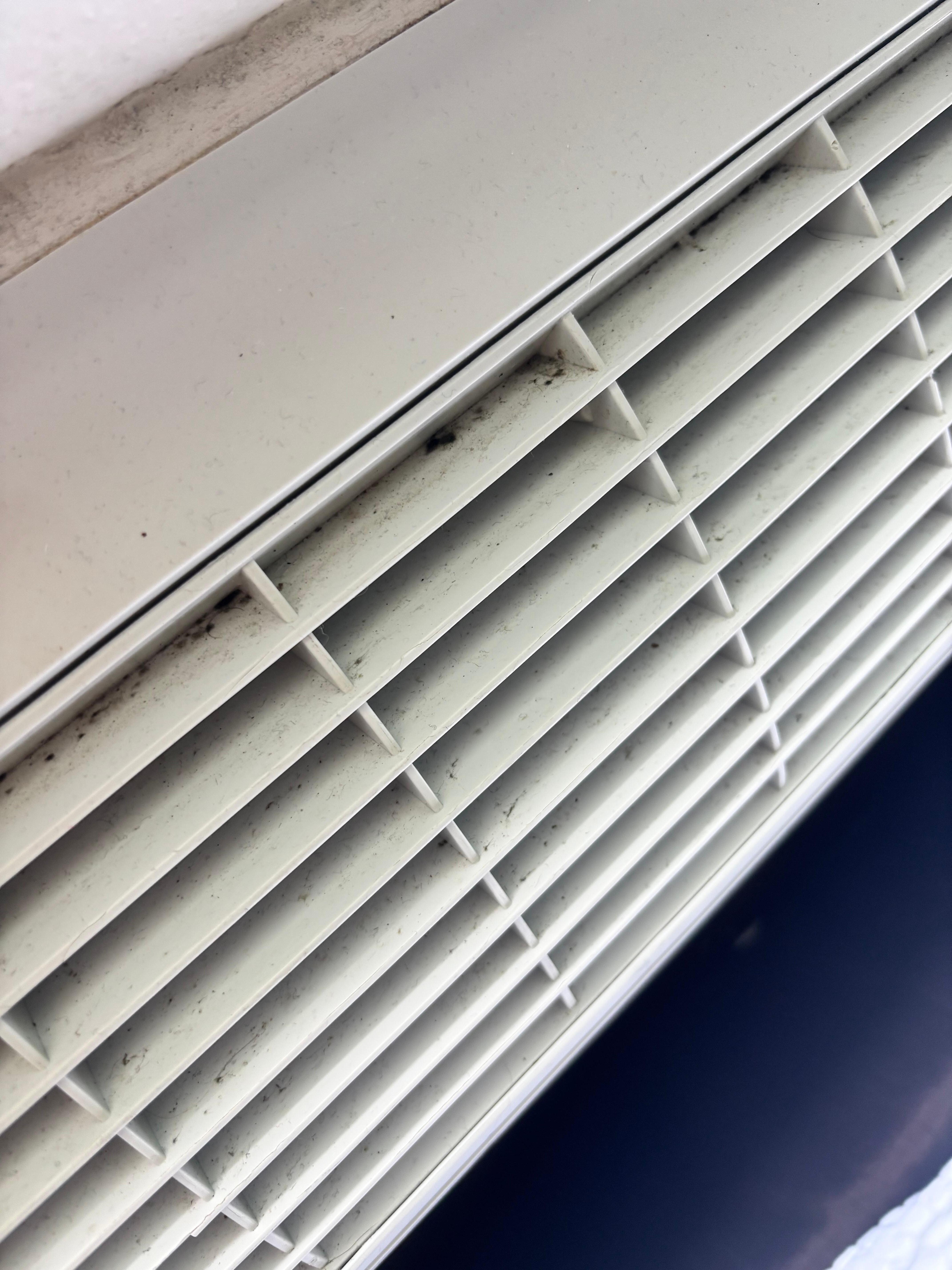 Mold/dust/hair covering the AC unit. 