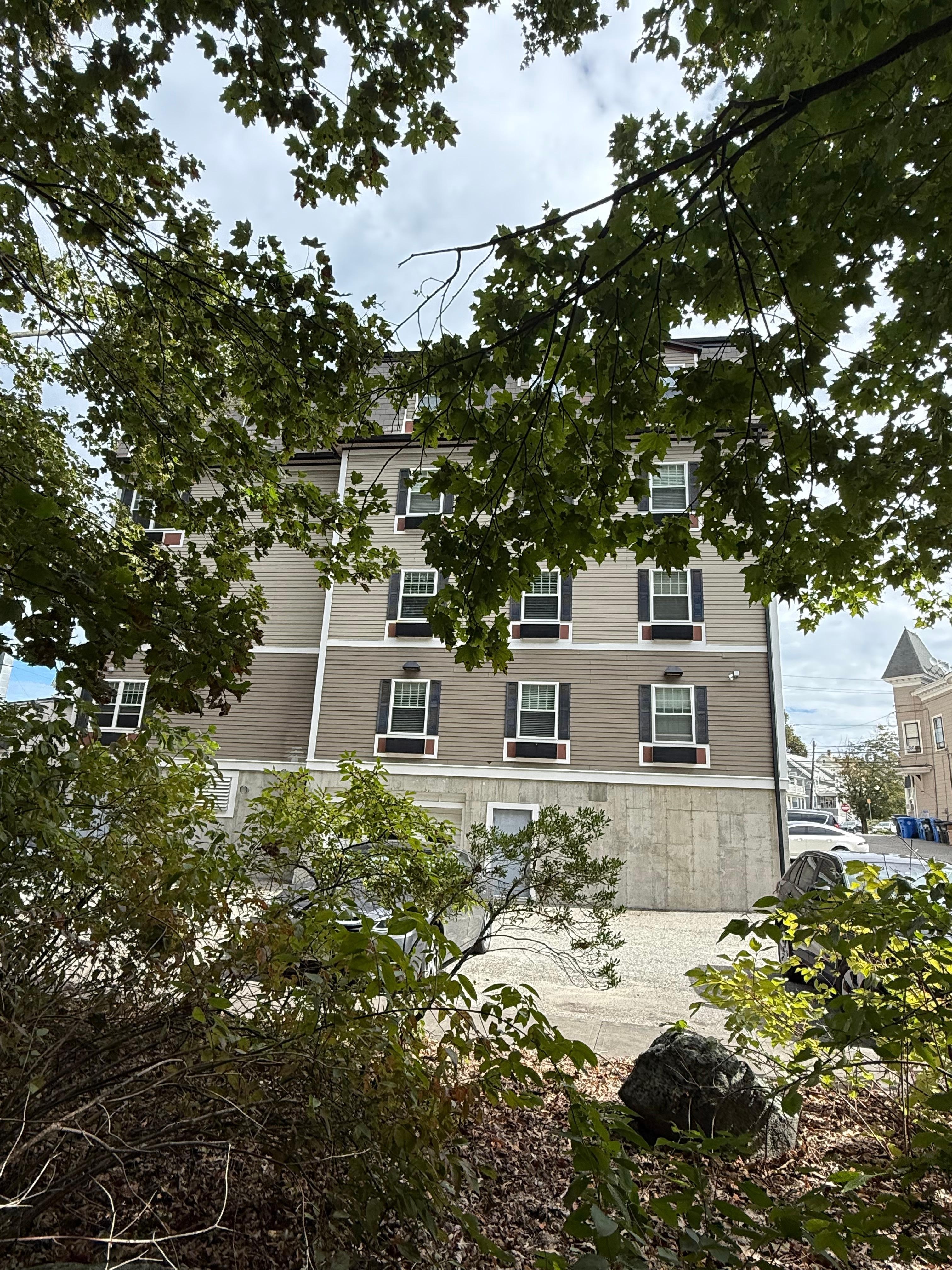 Rear of hotel from the forest behind. 