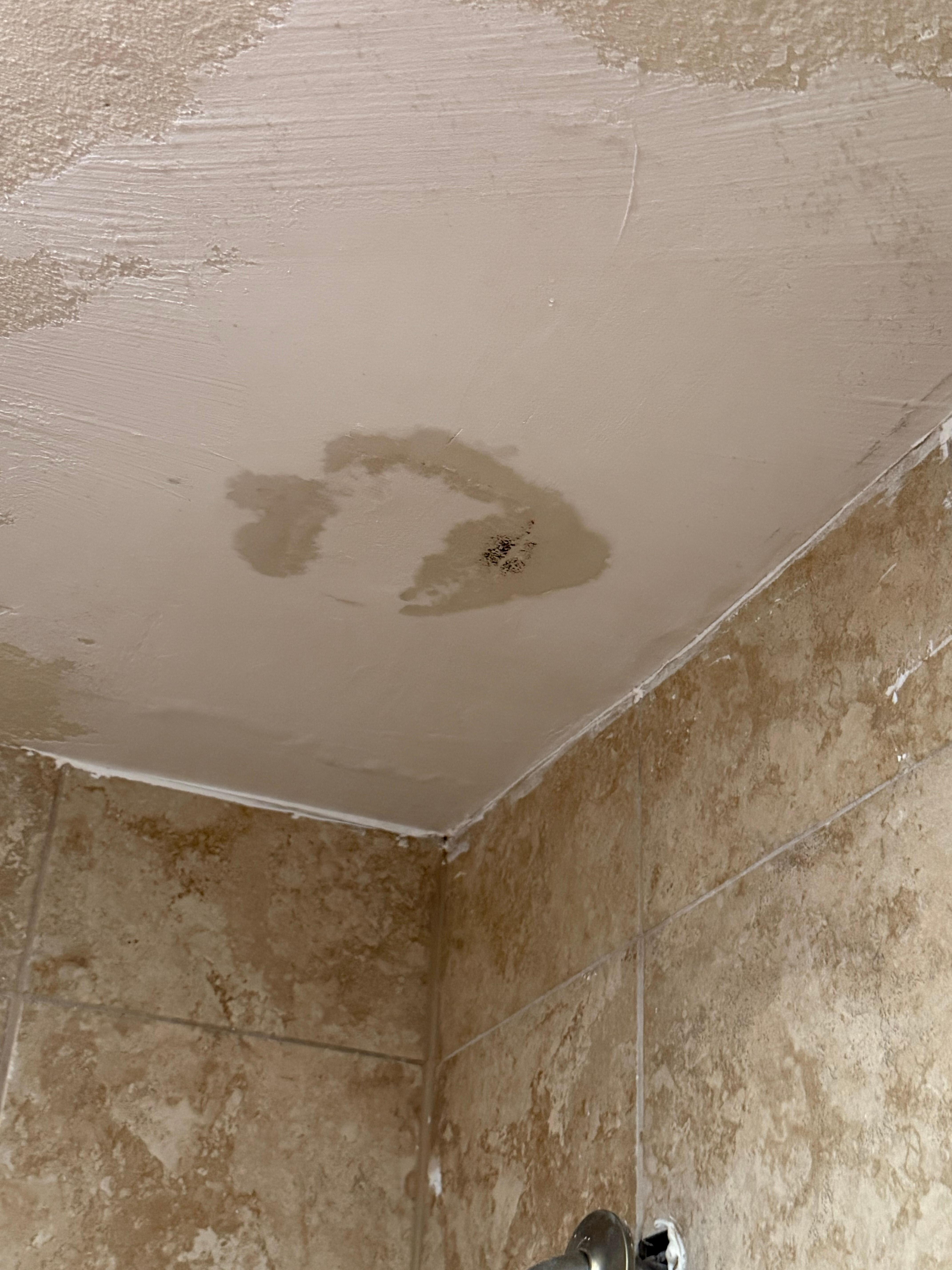 Mold trying to be covered up 