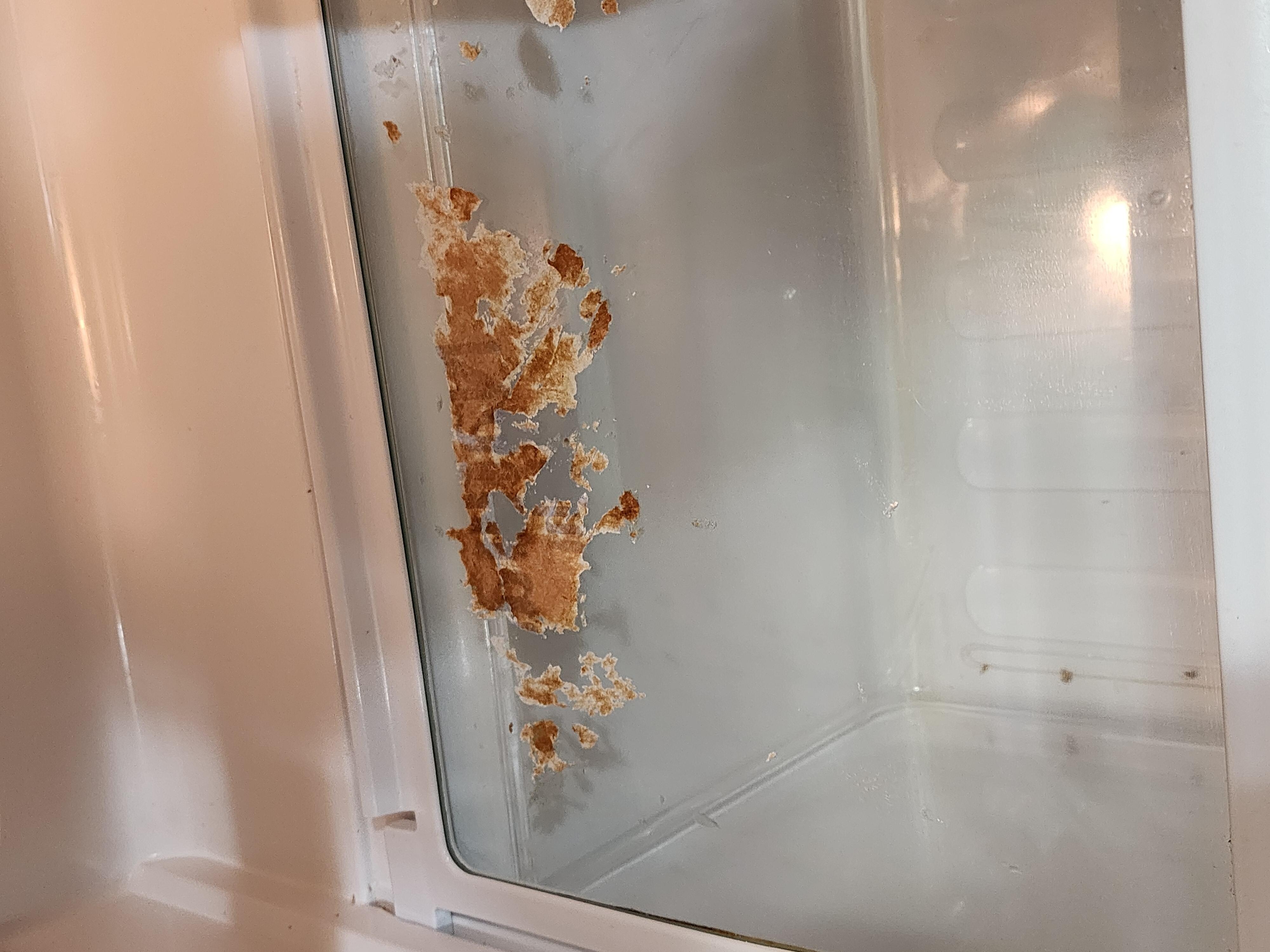 I. The fridge