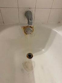 Bathtub didn't have a stopper to keep the bugs out or water in.