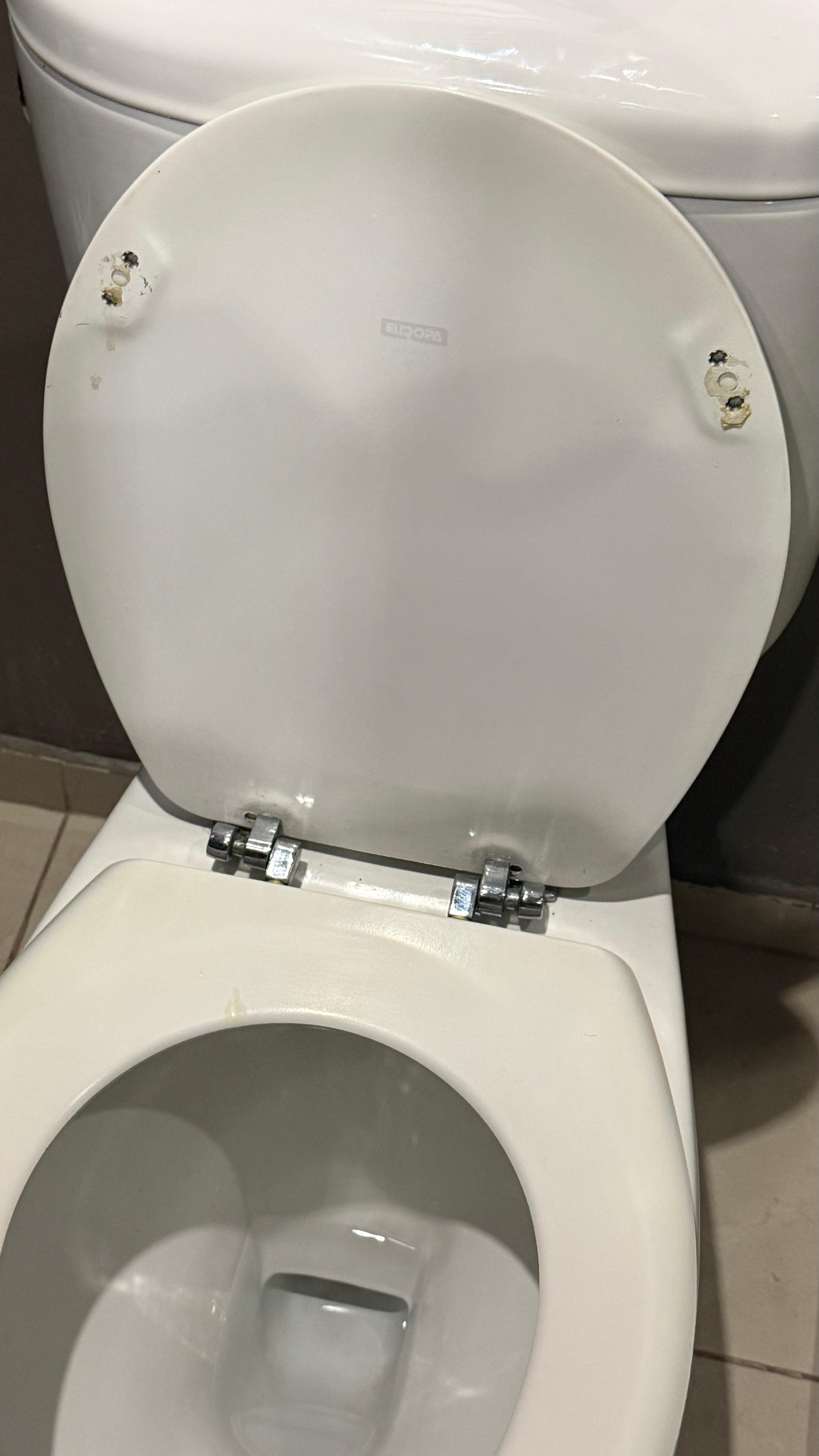 A tampa da privada quebrada…