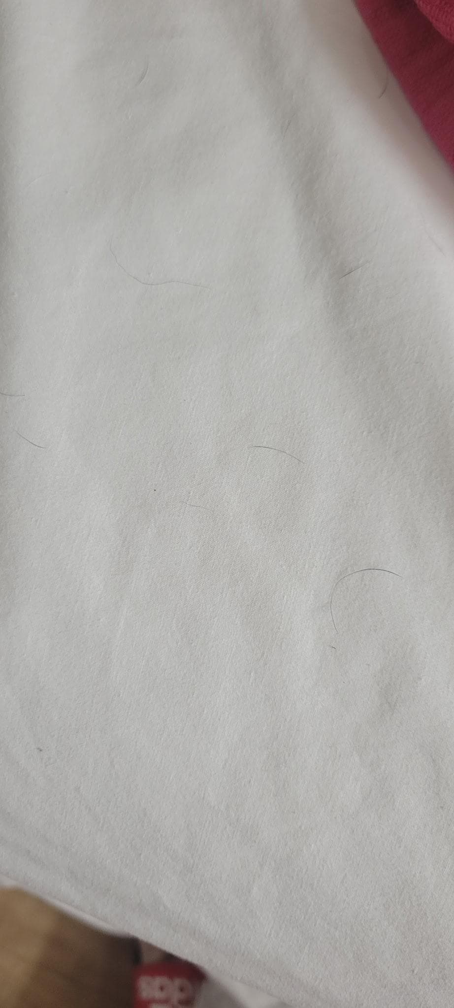 Dirty bedding with dog hairs