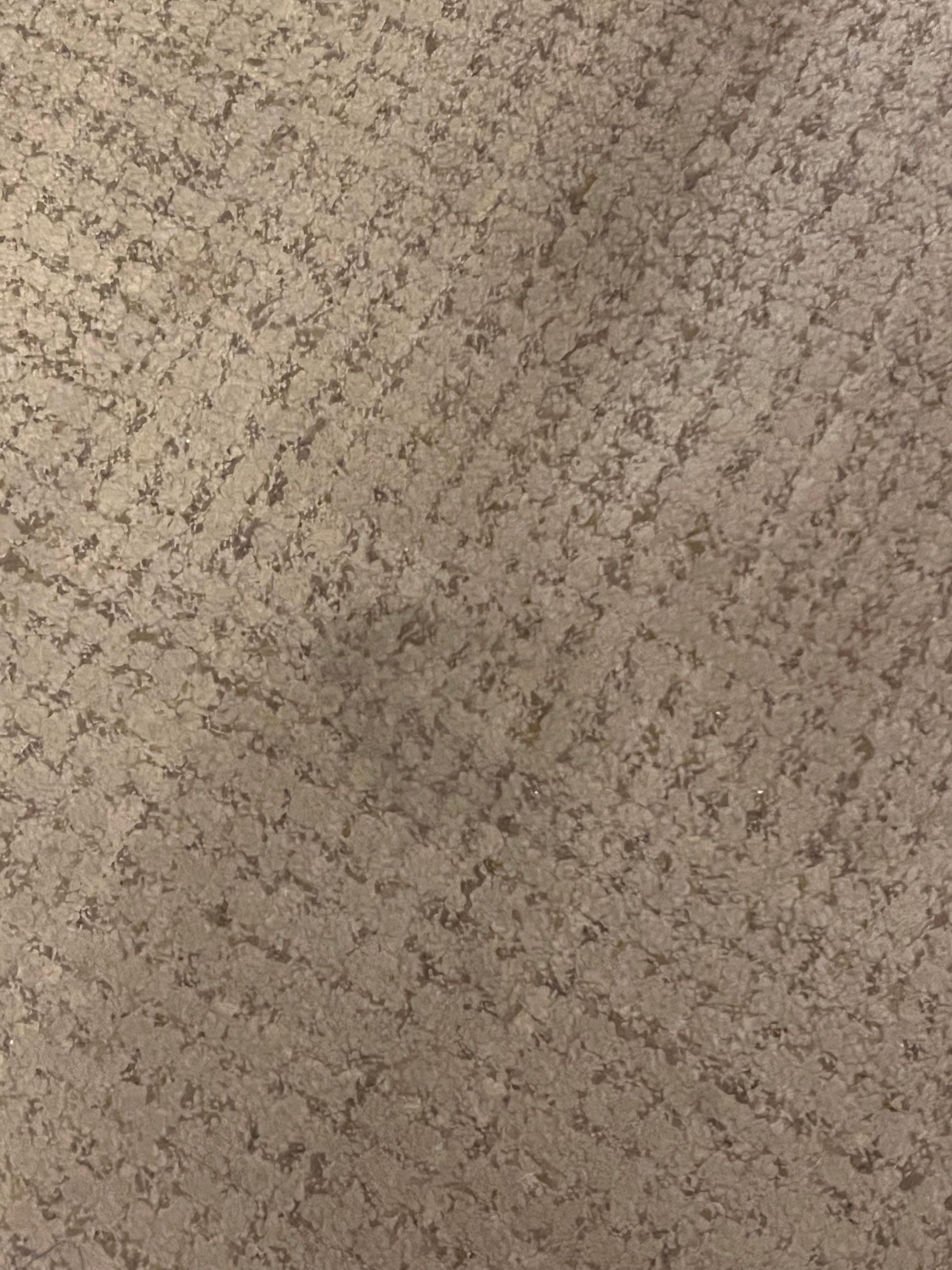 One of the many spots in carpet
