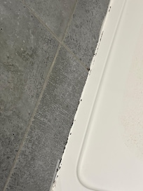 Mould in shower