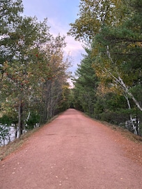 The trail