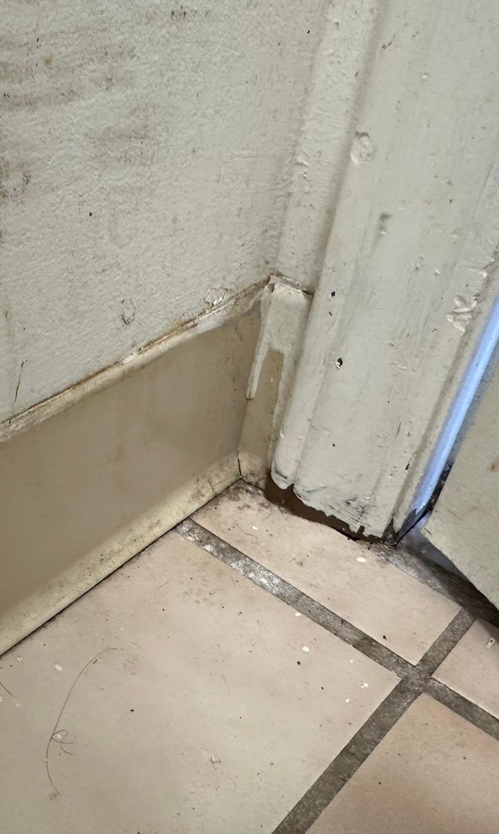 Build up dirt and hair aound floor and corners