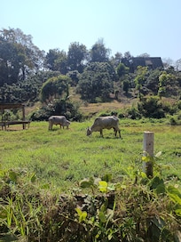 Paysage magnifique, ballade en scooter