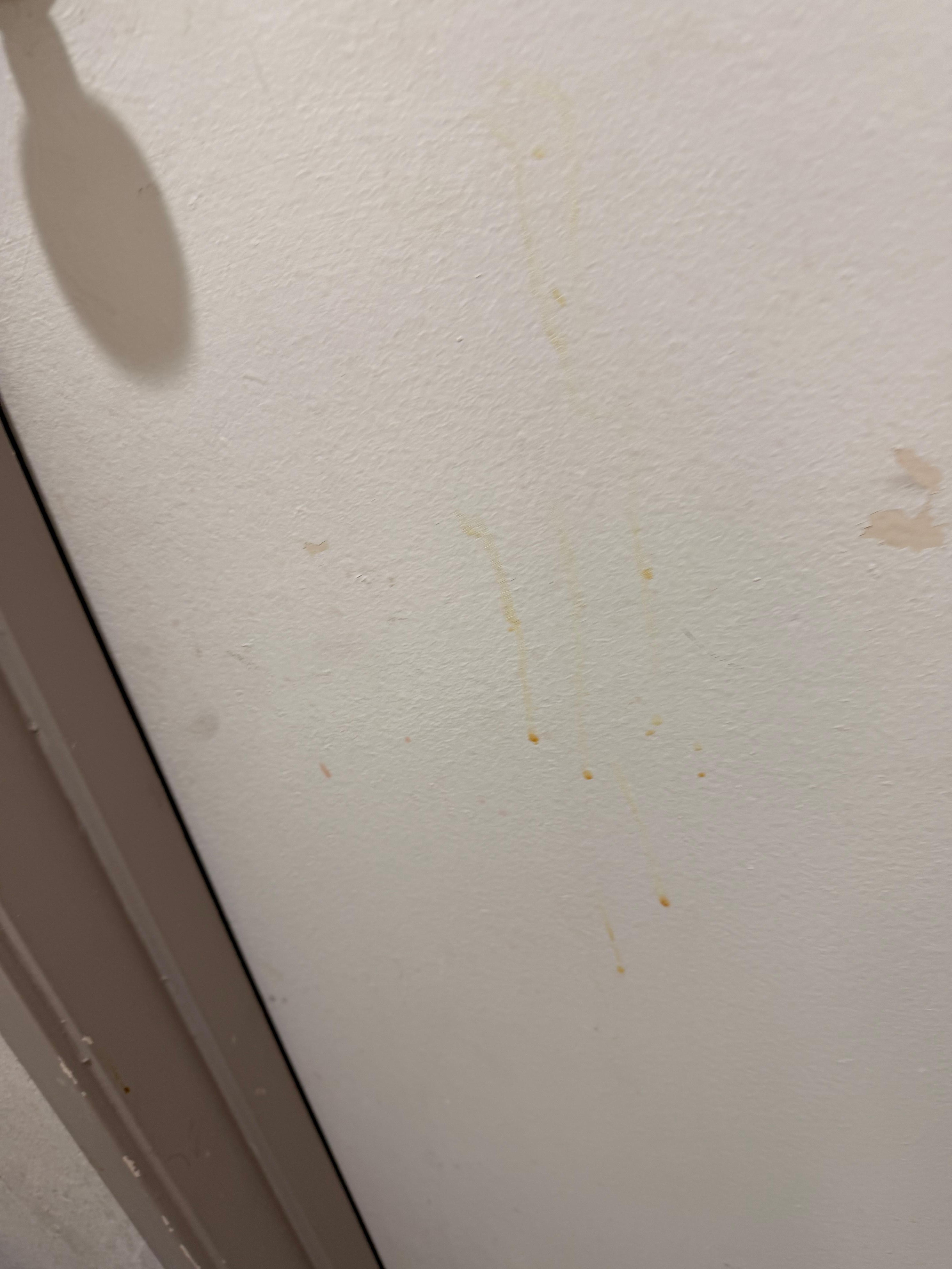 Las puertas de las habitaciones y las paredes muy sucias 