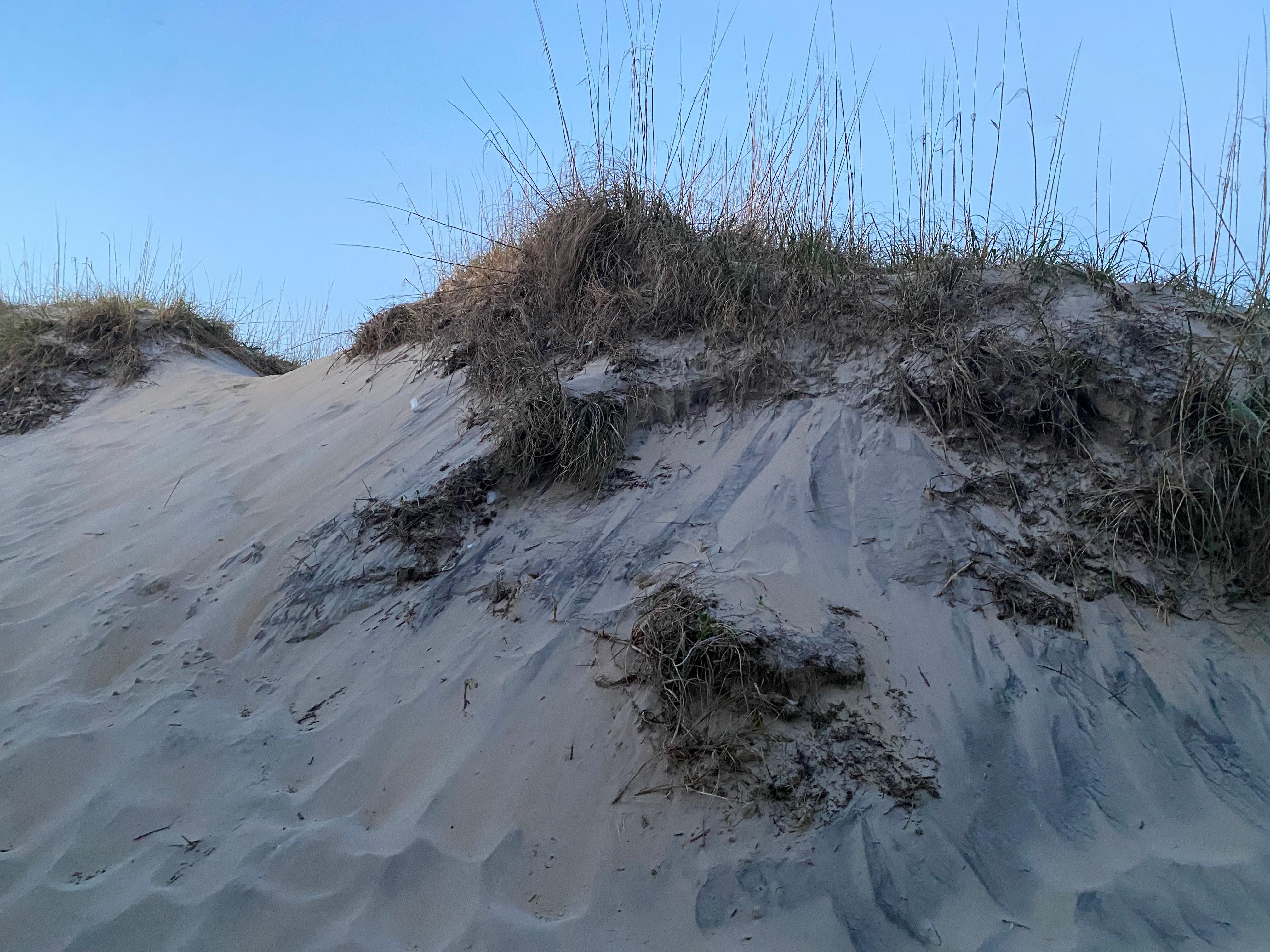 The view directly out of the first floor rooms