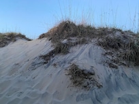 The view directly out of the first floor rooms