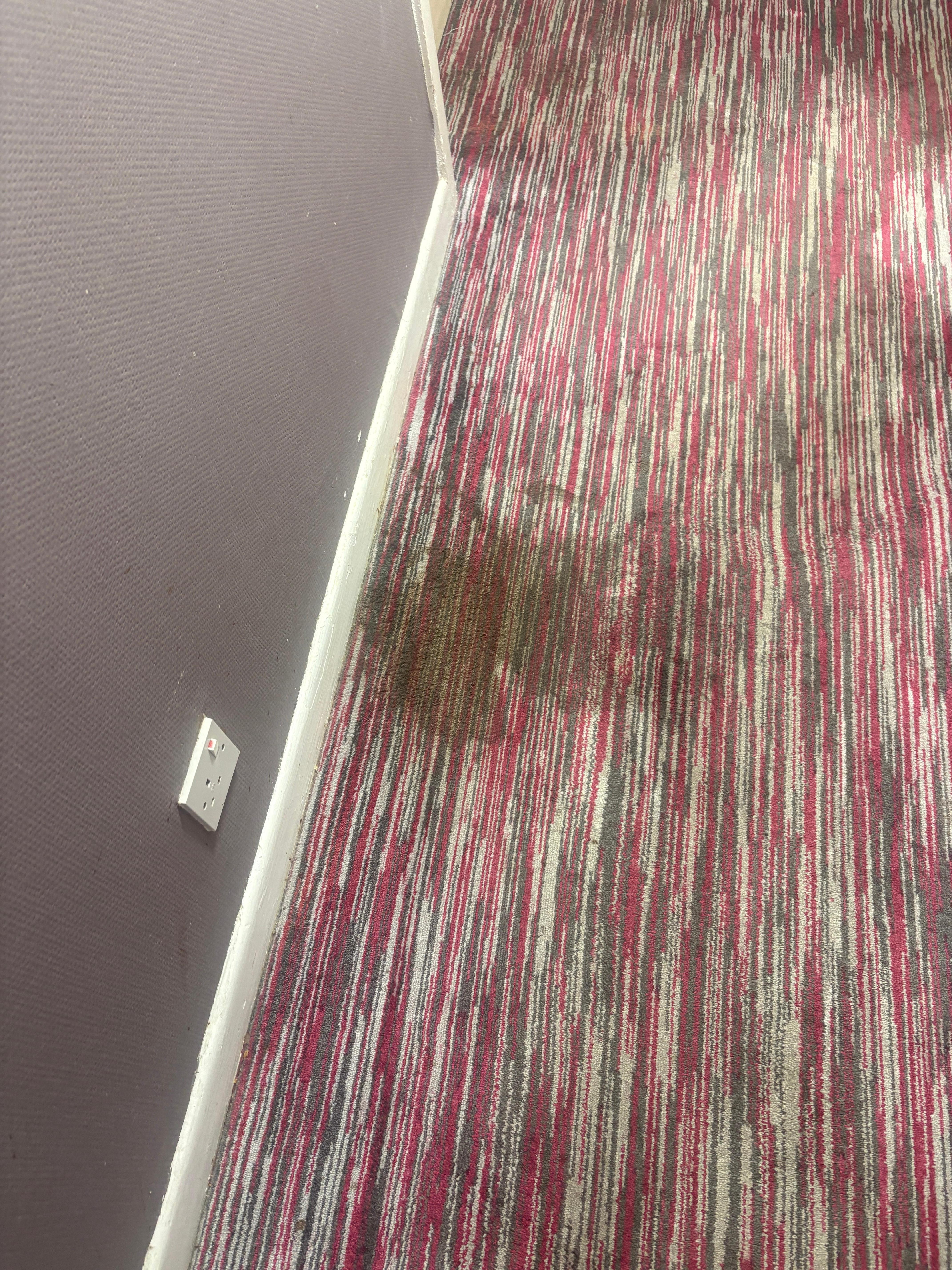 Carpet outside the room