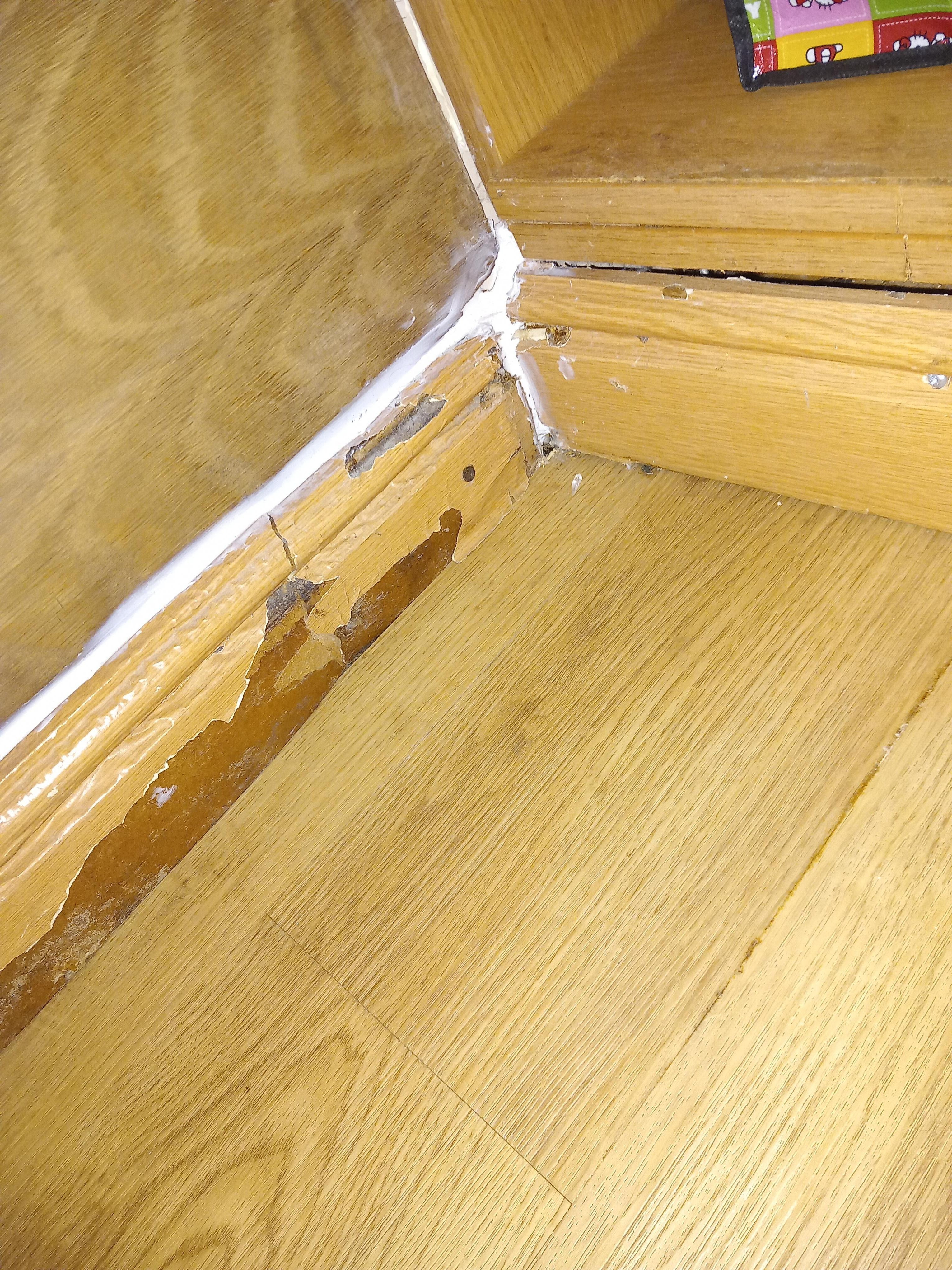 Another bodge on damp skirting 