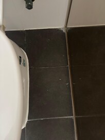 Bathroom floor was dirty. Shower door off hinges.