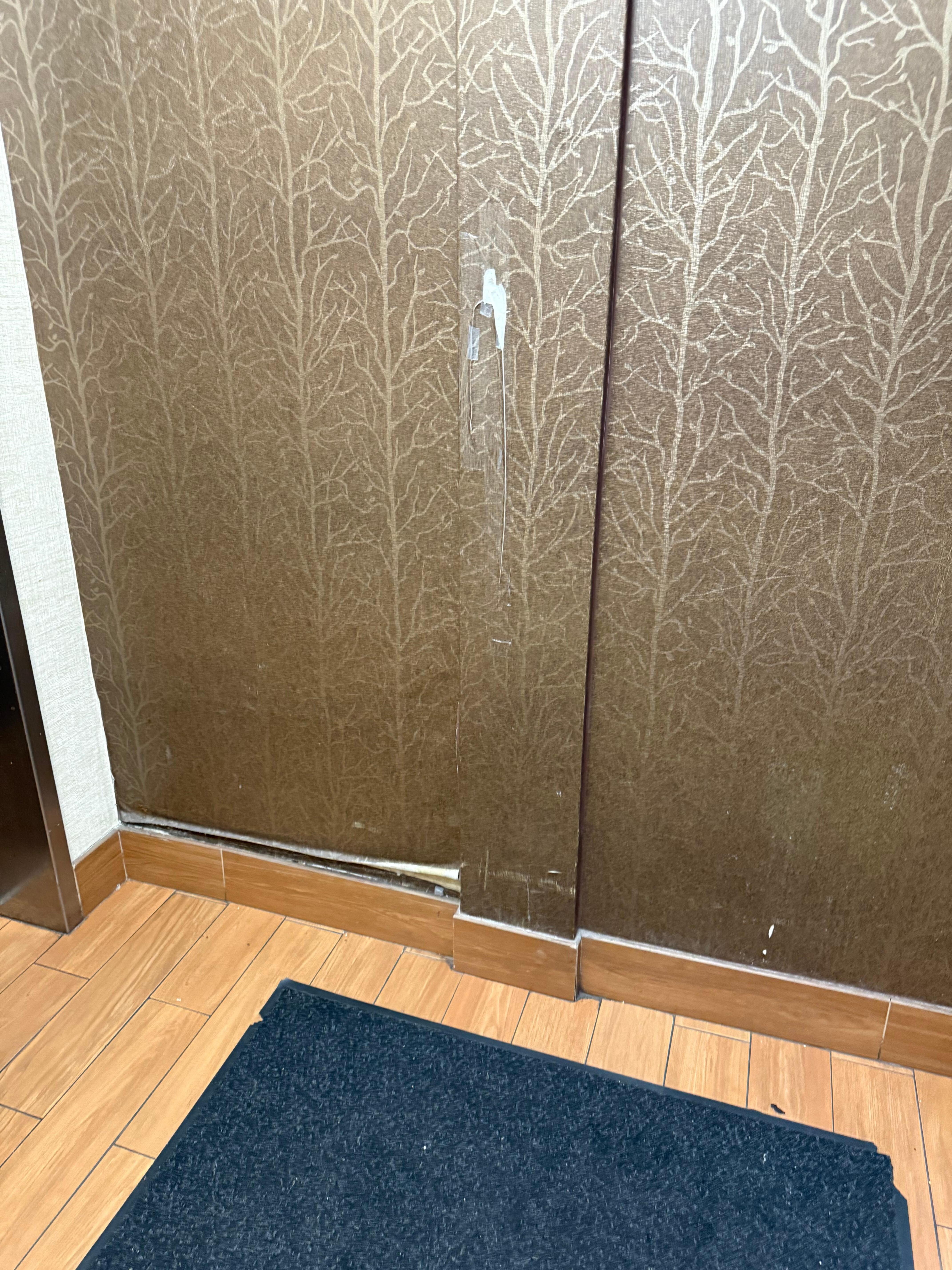 Wallpaper is peeling
