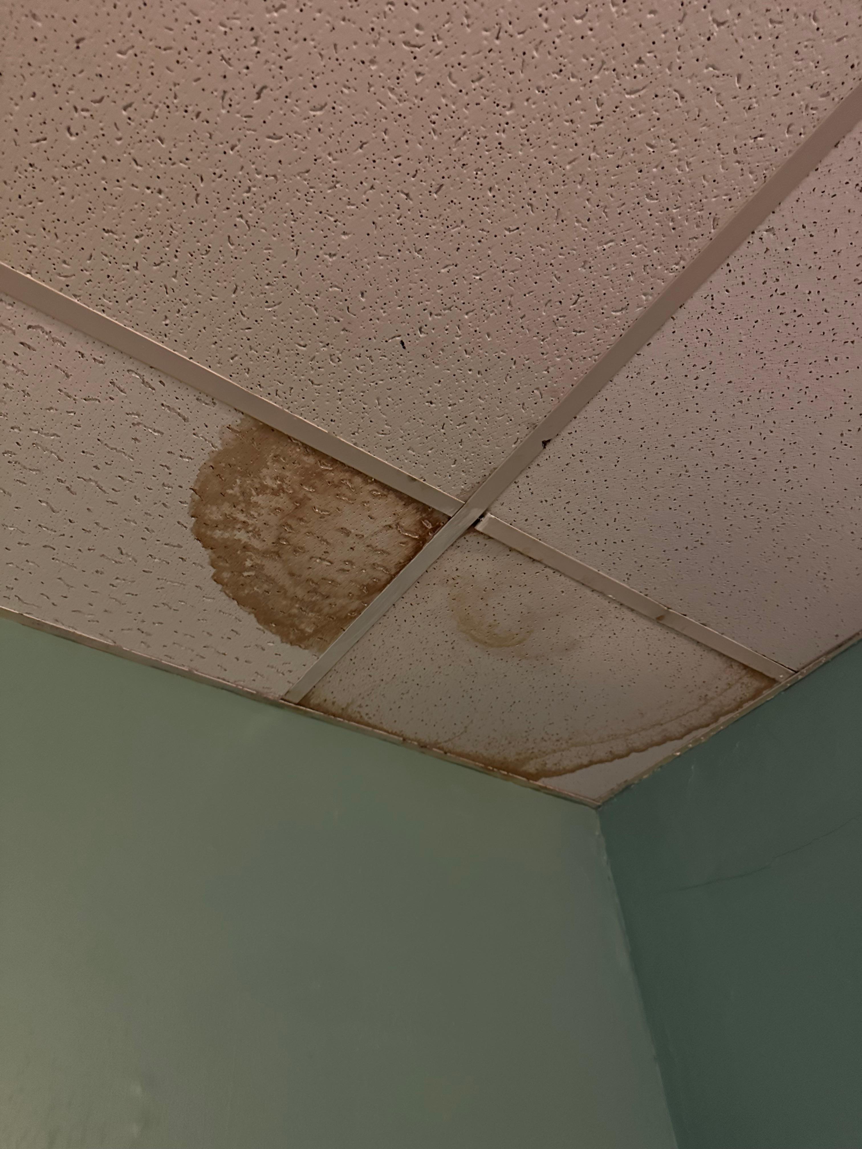 Ceiling 