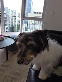 Relaxing in the room