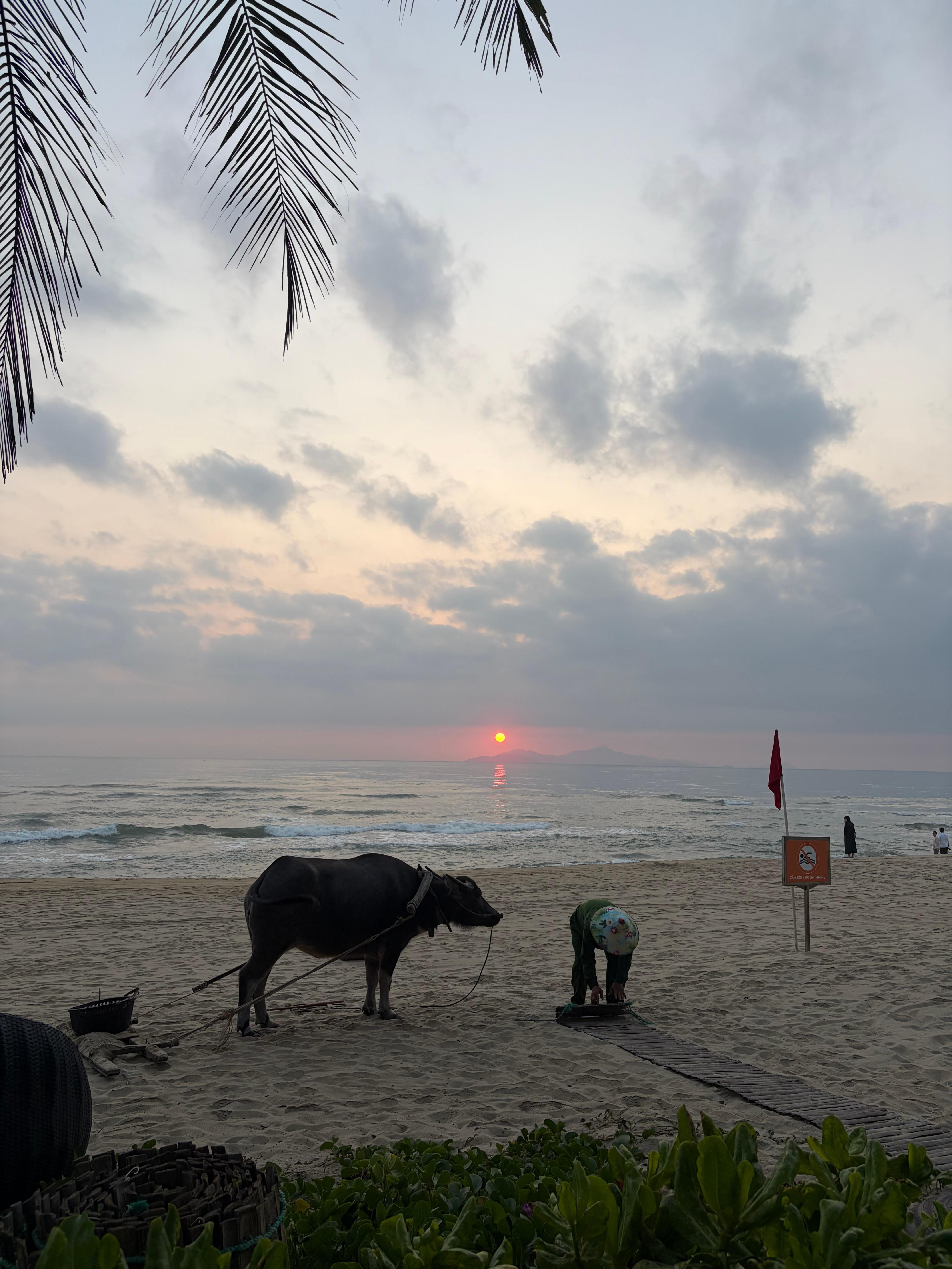 ホテルの前のビーチから見る朝日は最高
