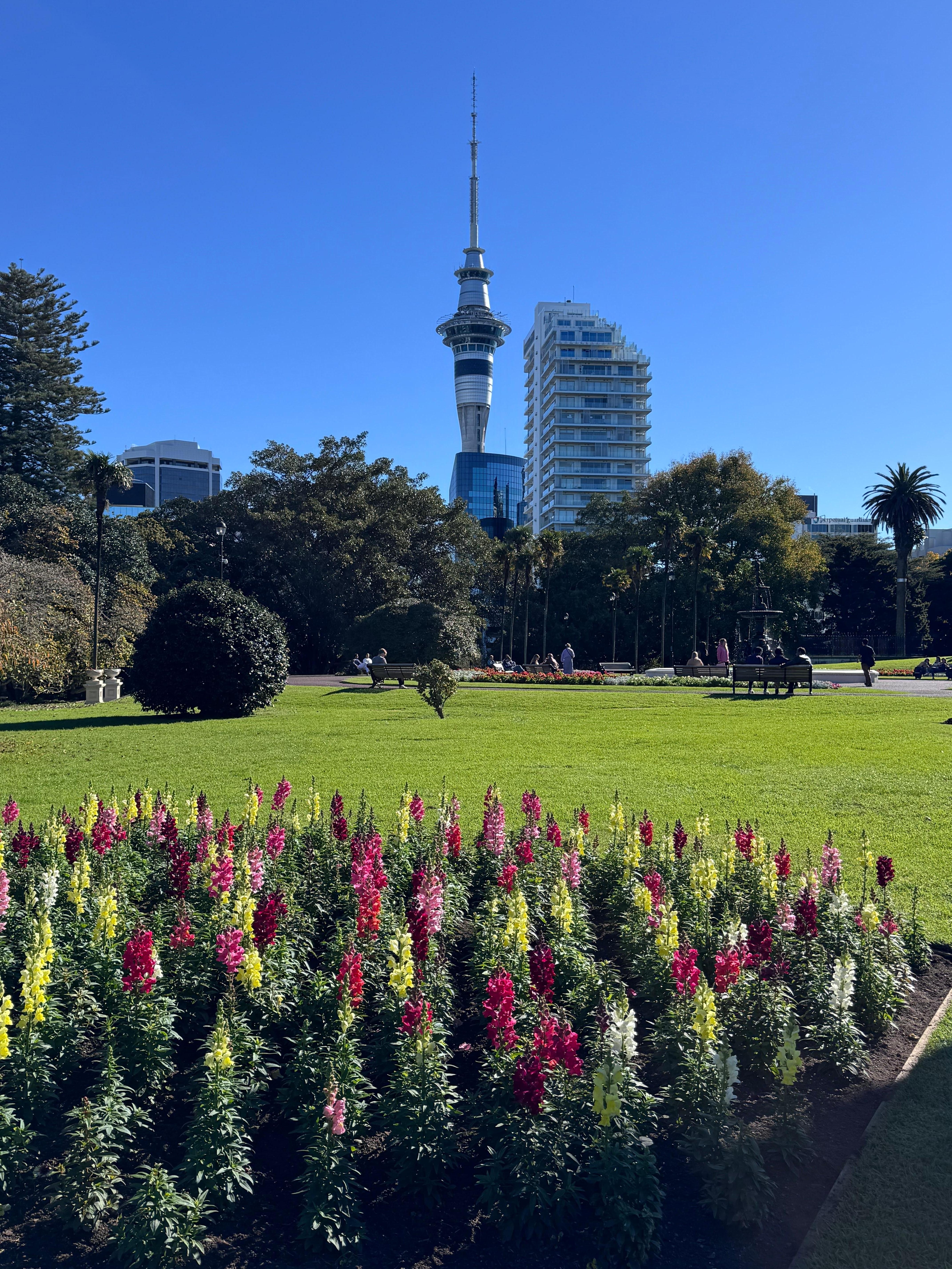 Sky Tower from Albert Park