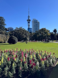 Sky Tower from Albert Park