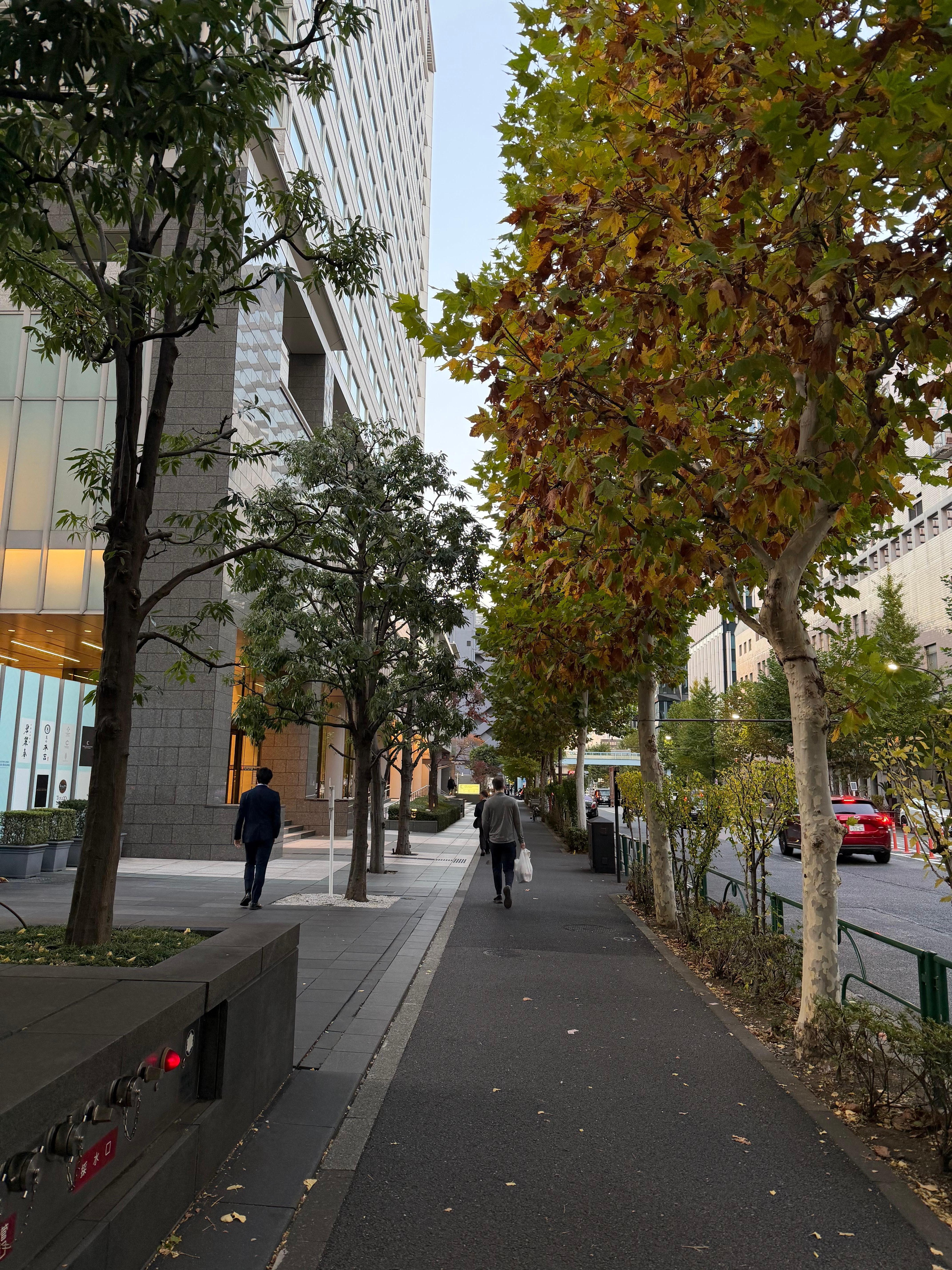 Área externa próxima