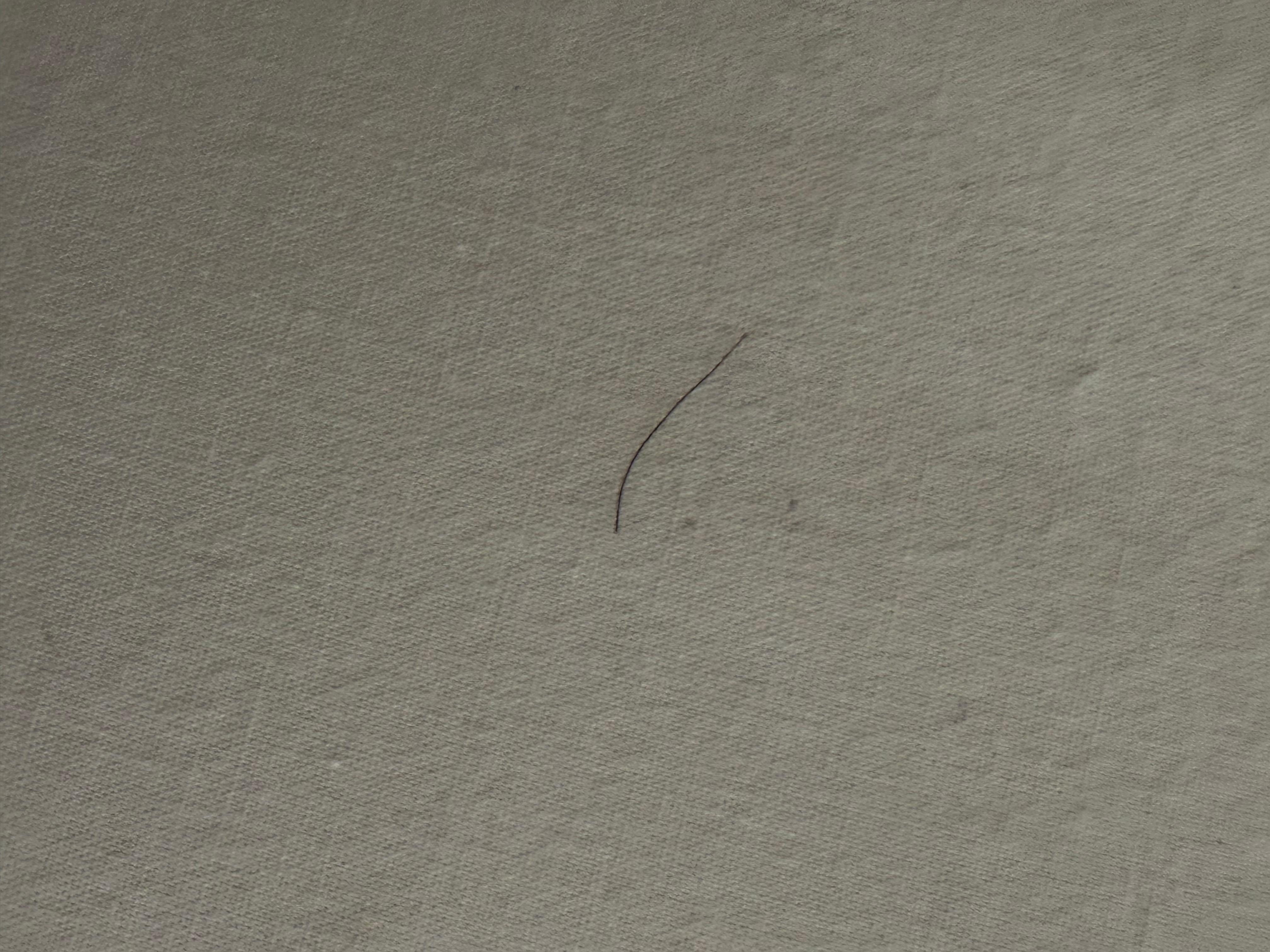 Hair left on blanket