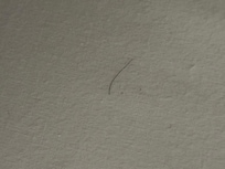 Hair left on blanket