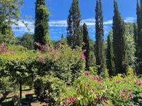 Surrounded vegetation was grren