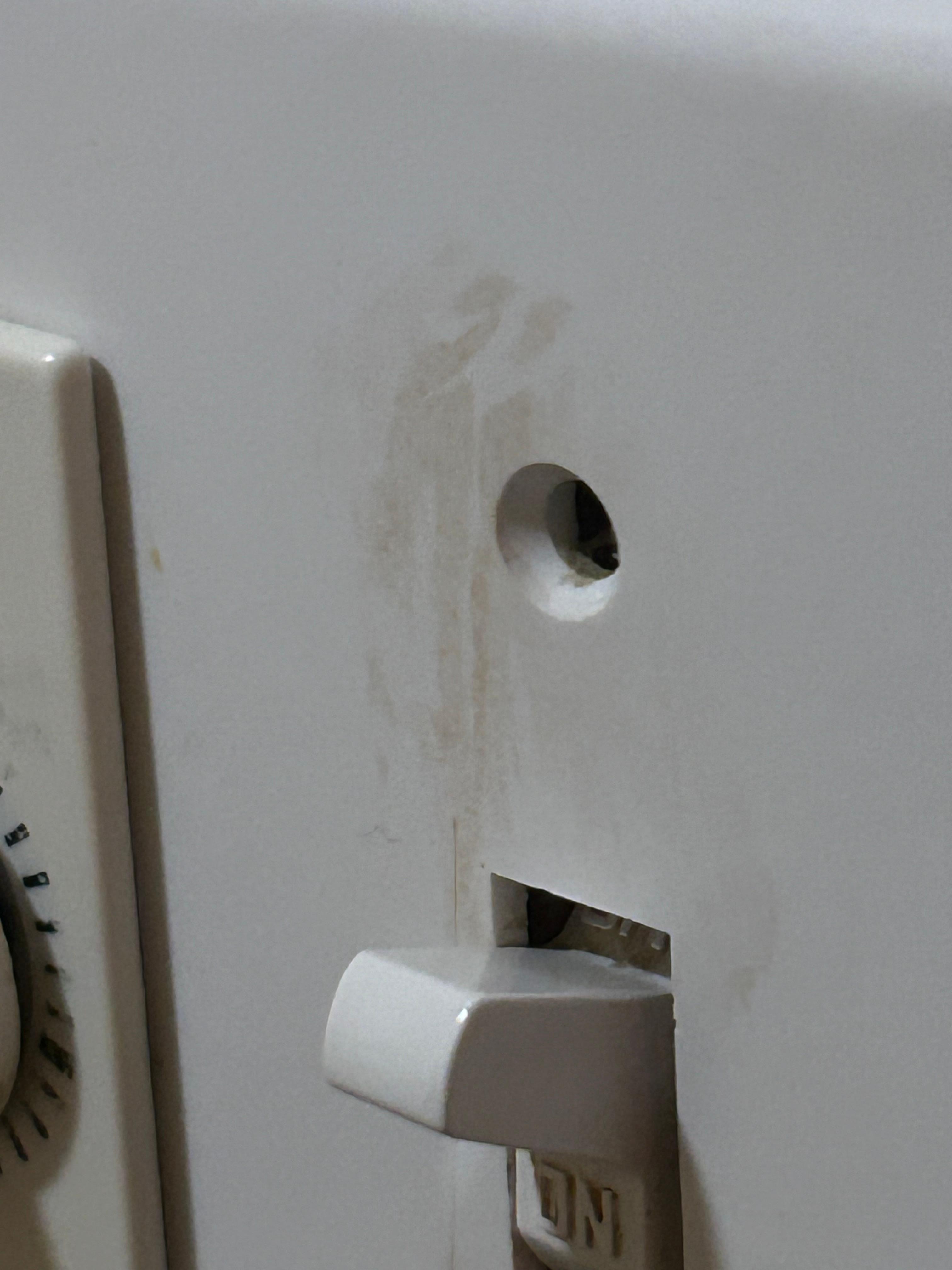 The poo on the bathroom light plate 