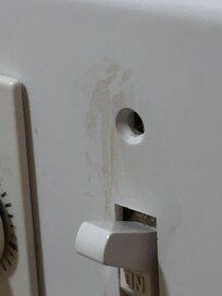 The poo on the bathroom light plate