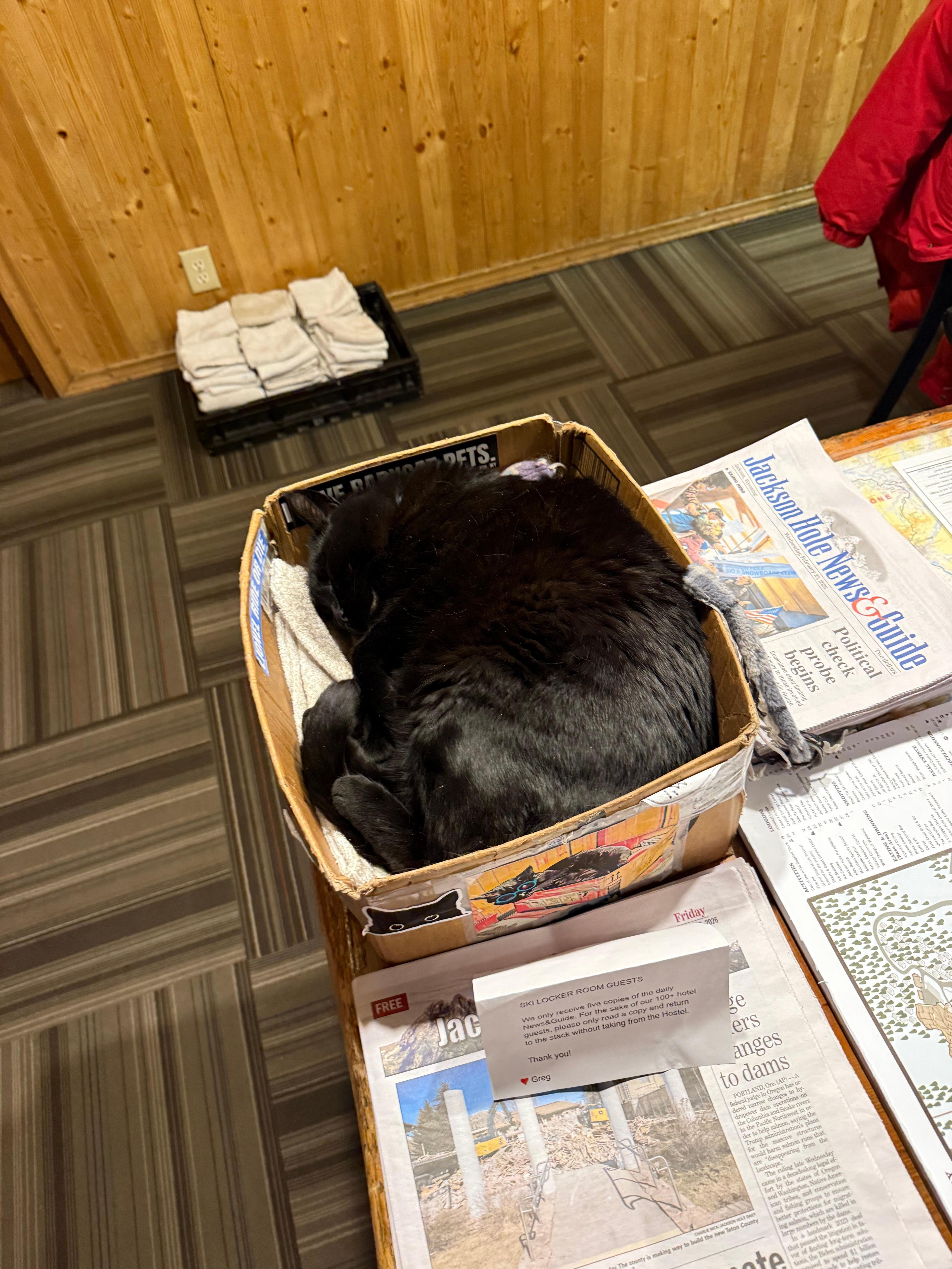 Lionel Richie 🐈‍⬛