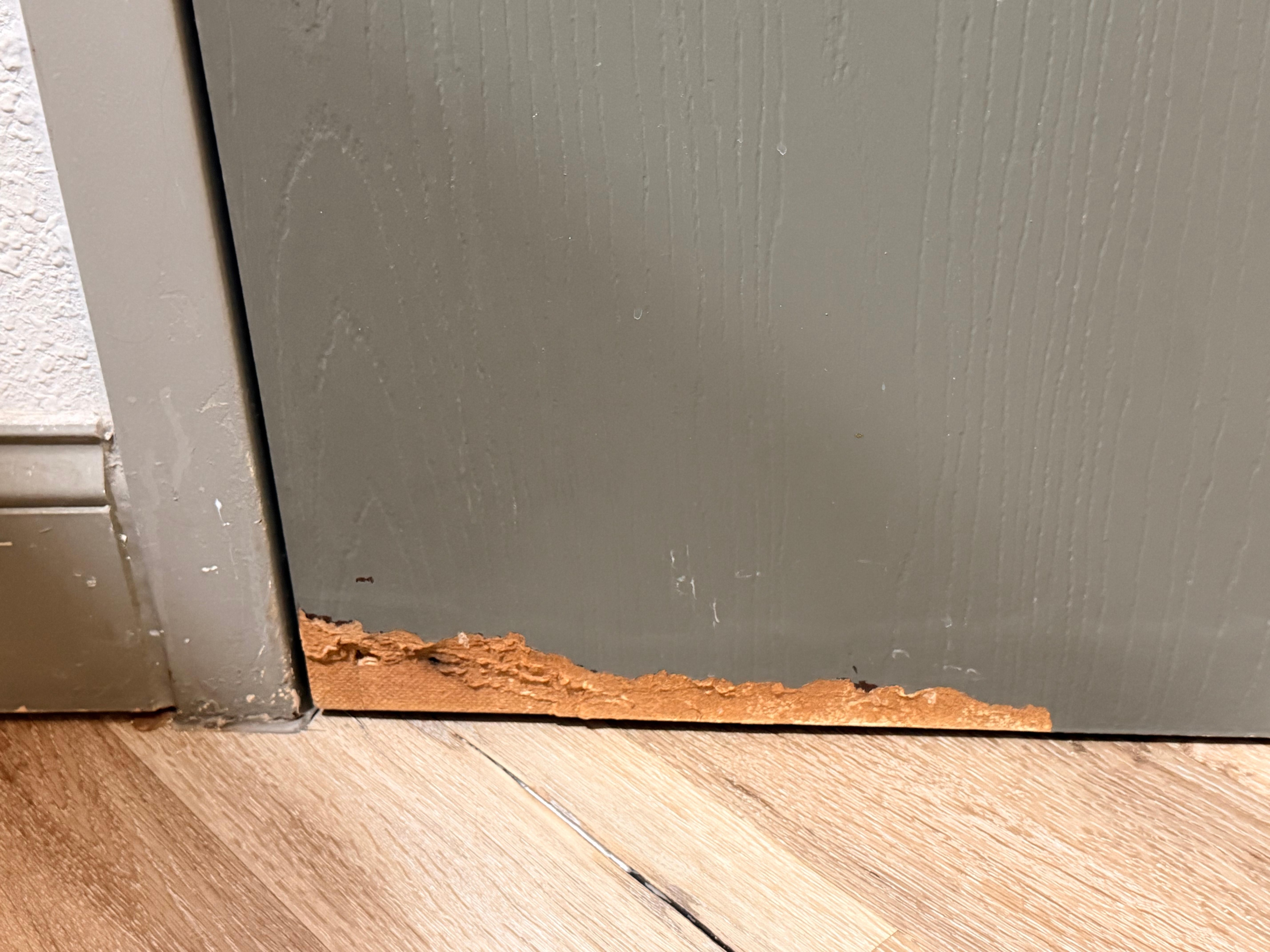 The walls trim and doors all had damage like this