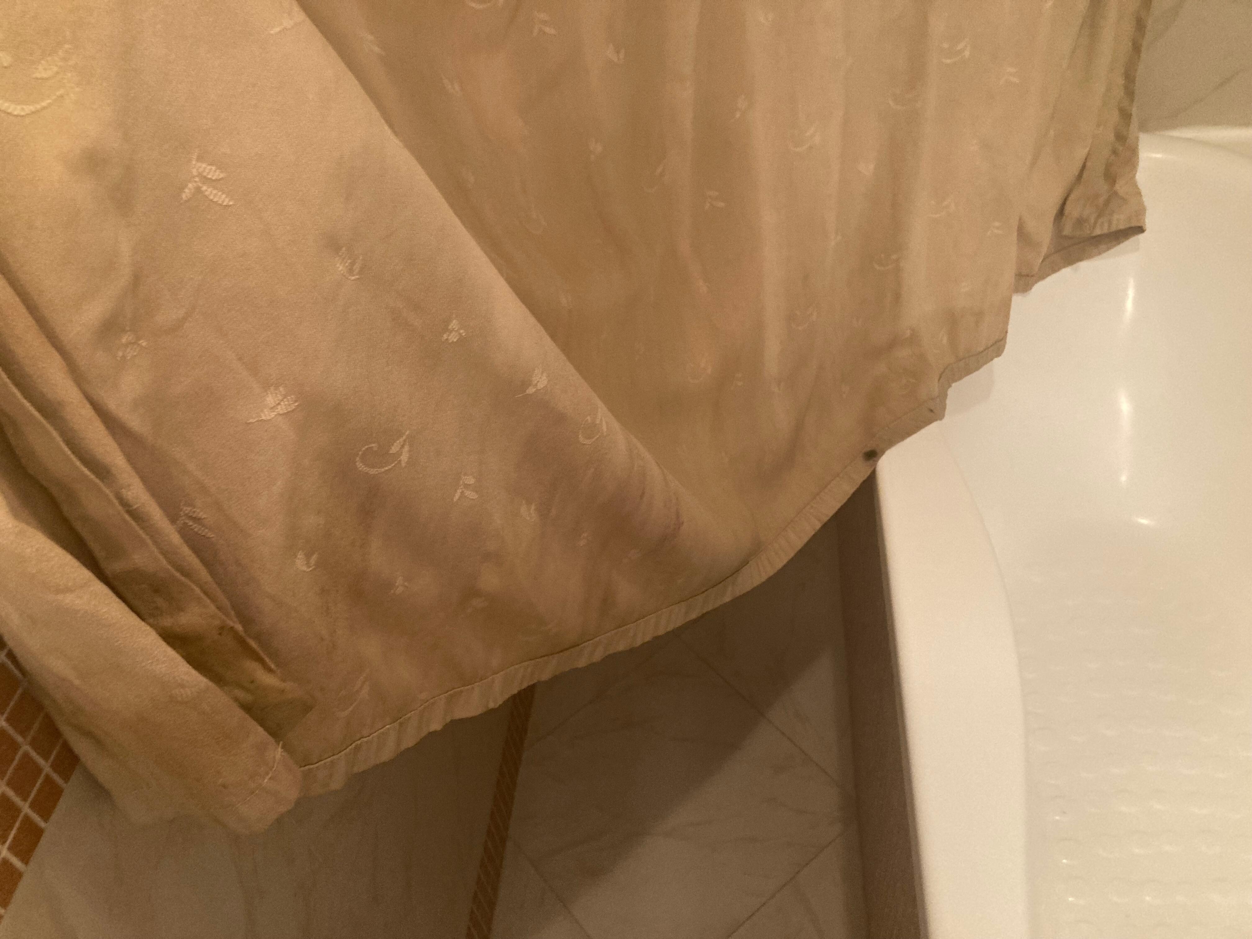 Shower curtain