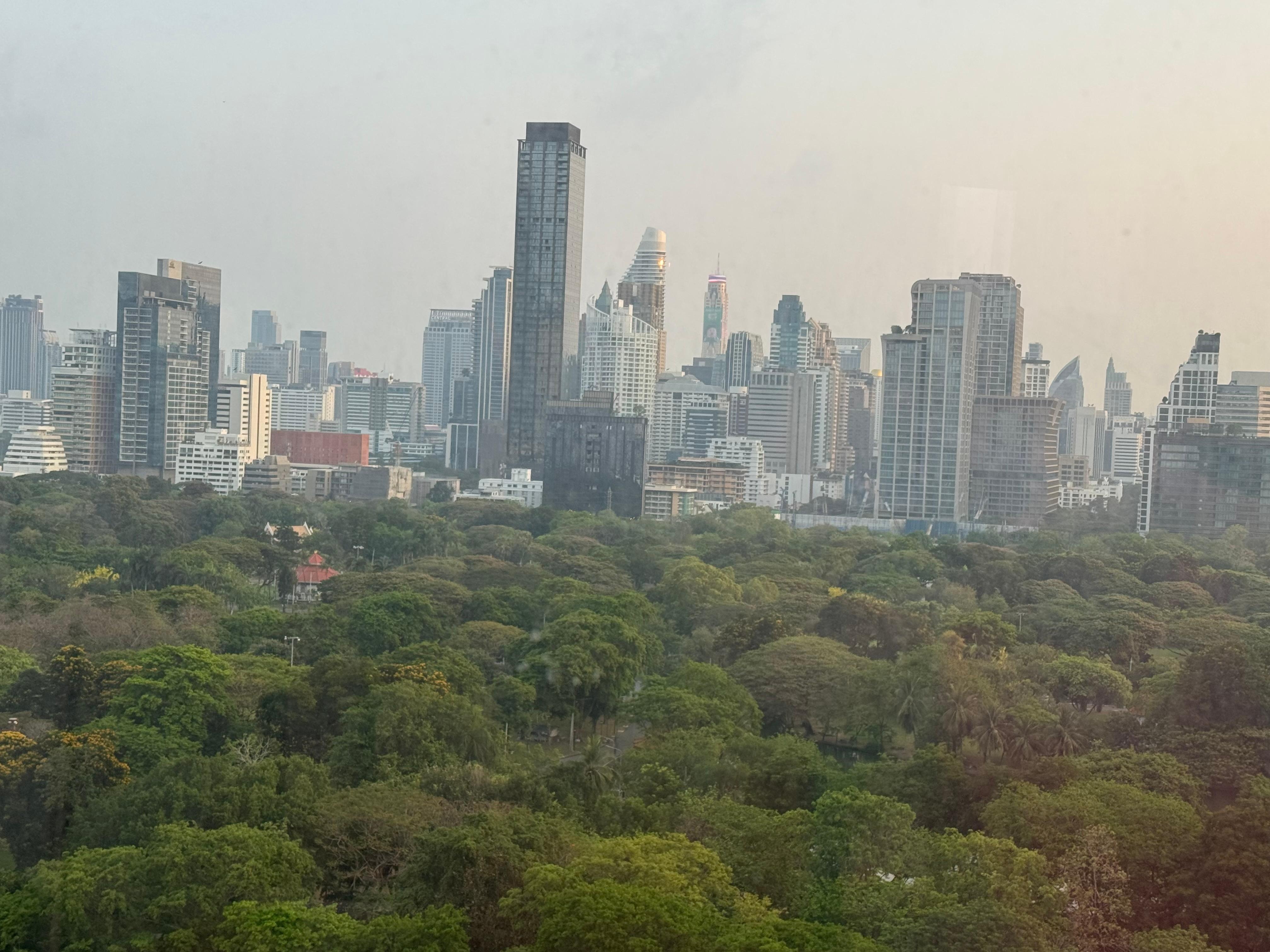 This is the view of Lumphini park form the reception on the 9th floor. It is a greatt and safe place for jogging.