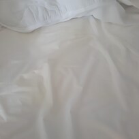 This is the $100.00 dollar soiled stain they took pic of and sent me can't see anything how about you?