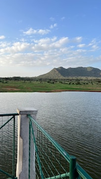View at the water hole
