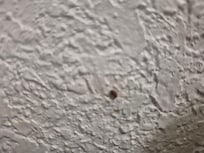 When i arrived i took pictures of the bugs