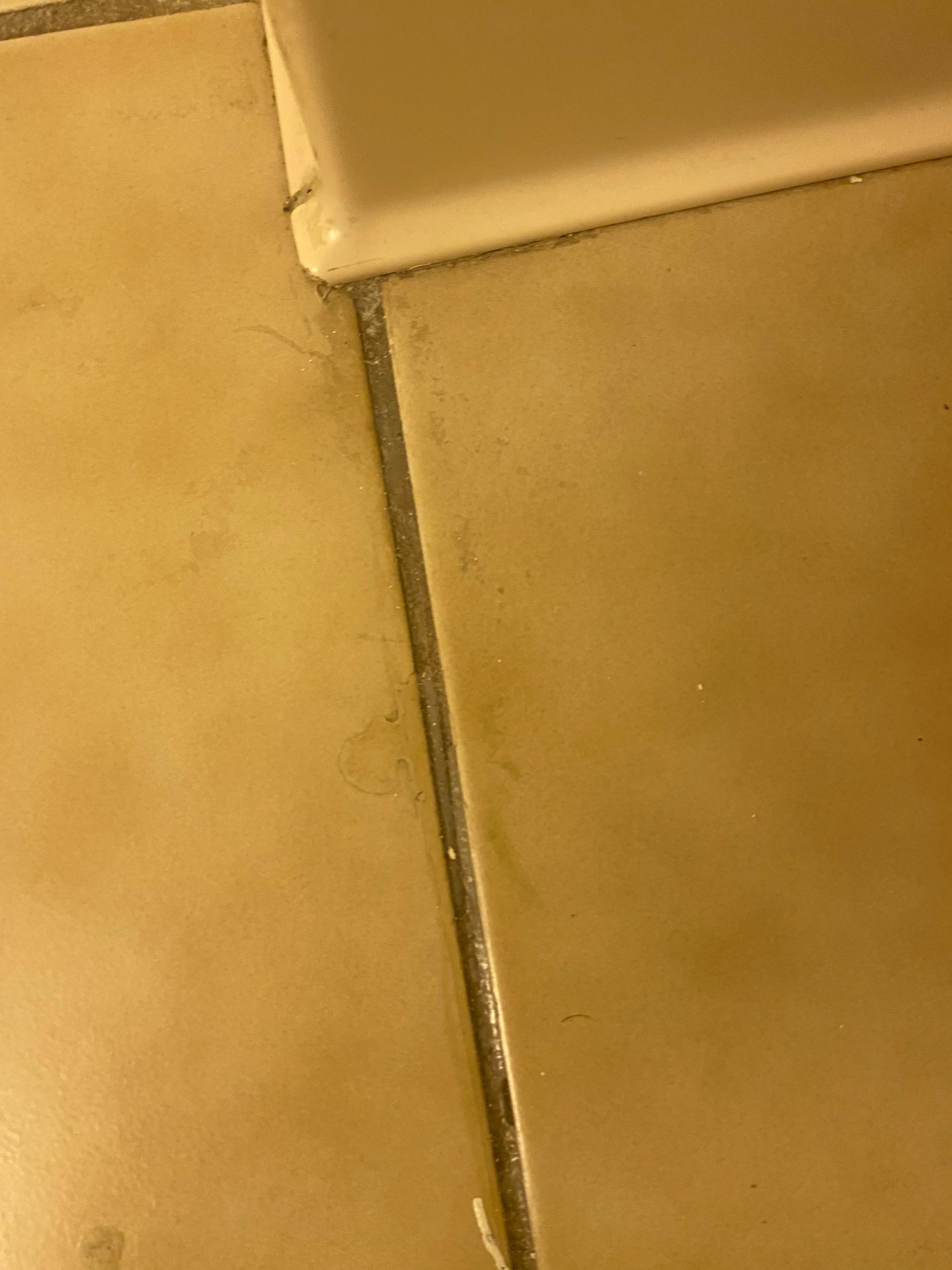 Mold
