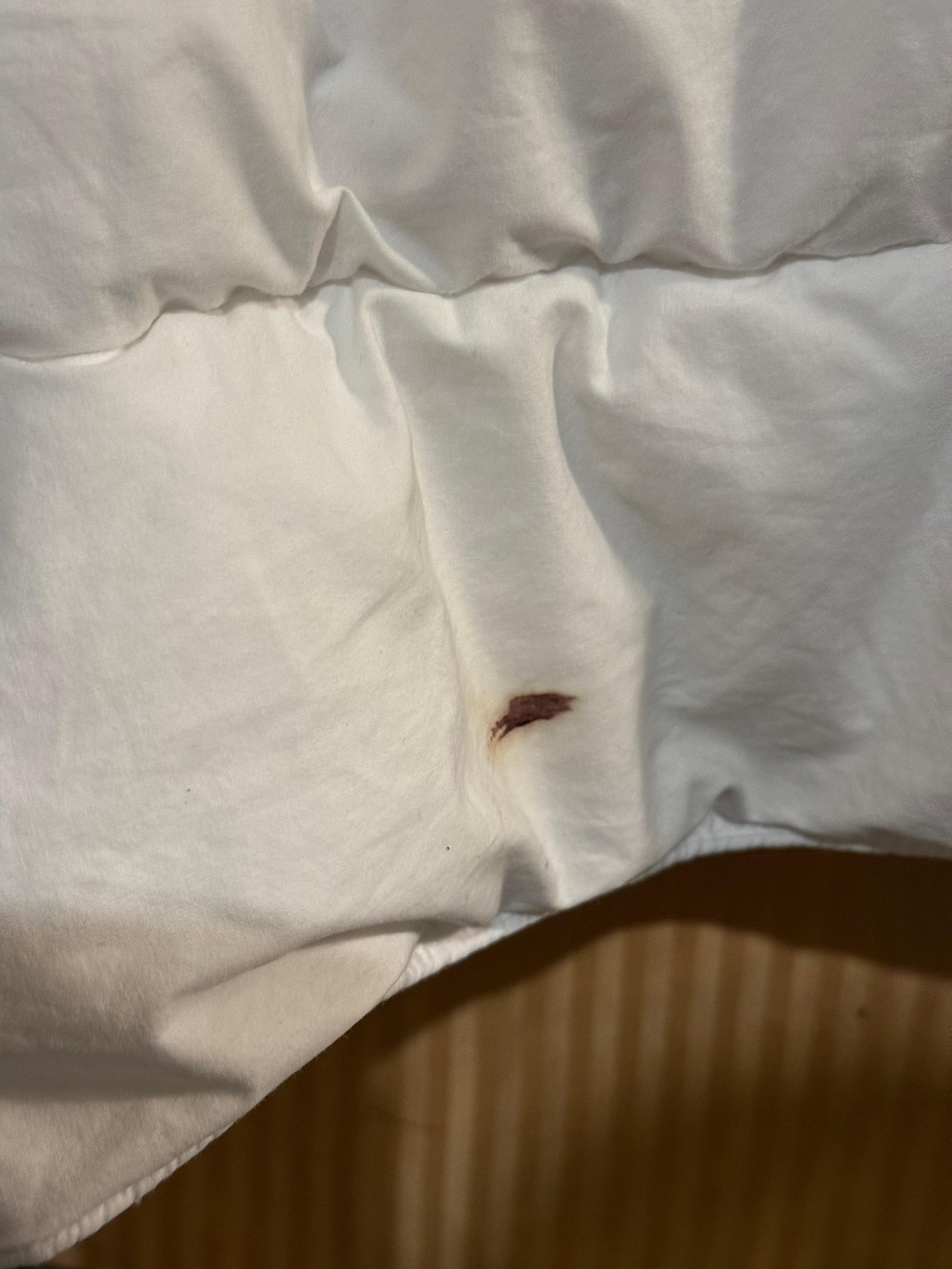 Comfortable with stain.